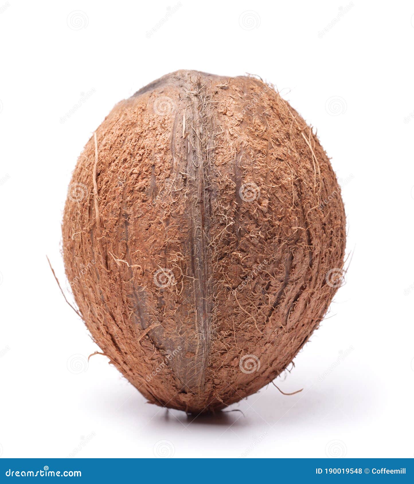 Big Coconut Isolated on a White Background Stock Photo - Image of ripe ...