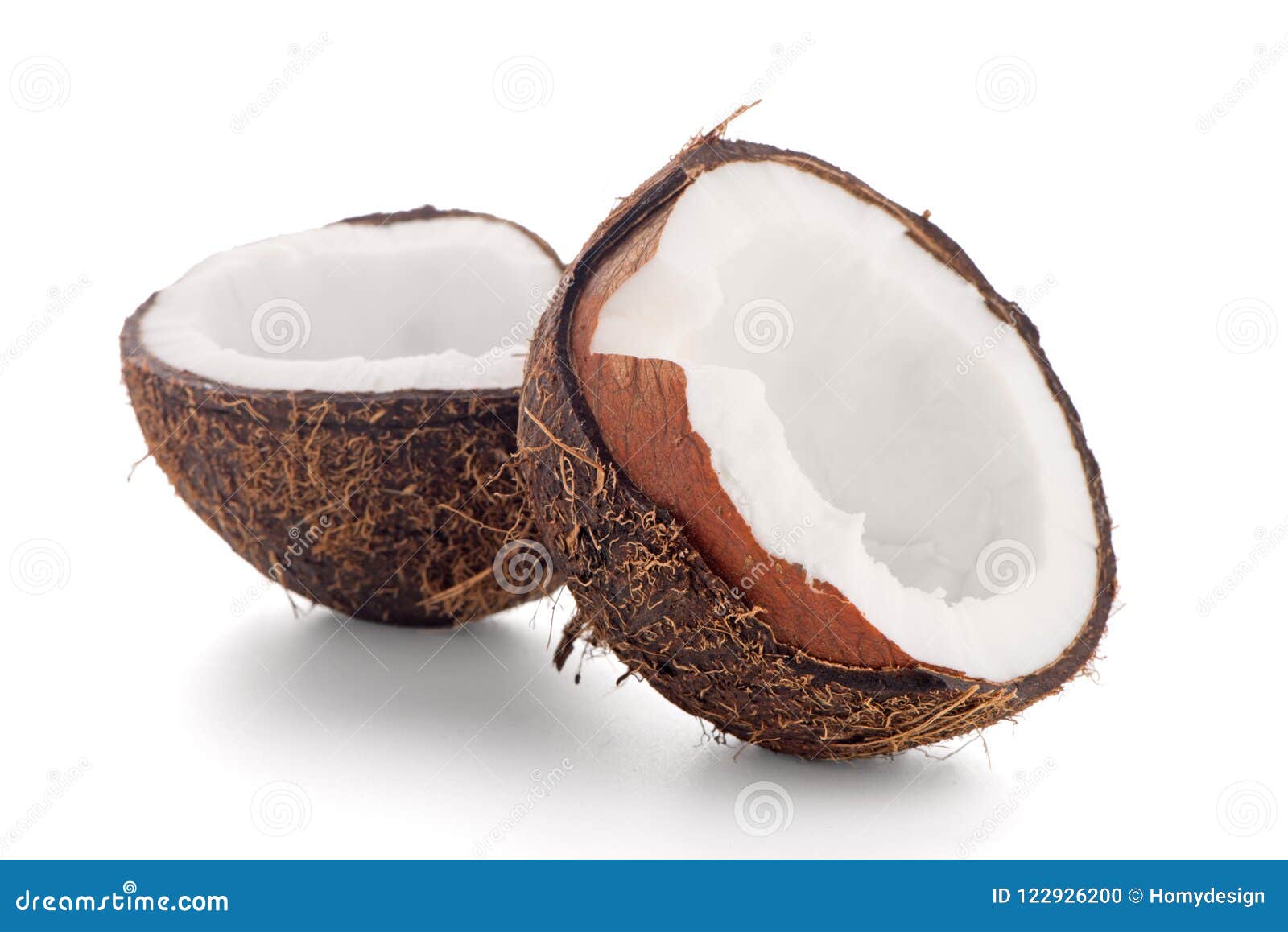Big Coconut stock photo. Image of food, vivid, brown - 122926200