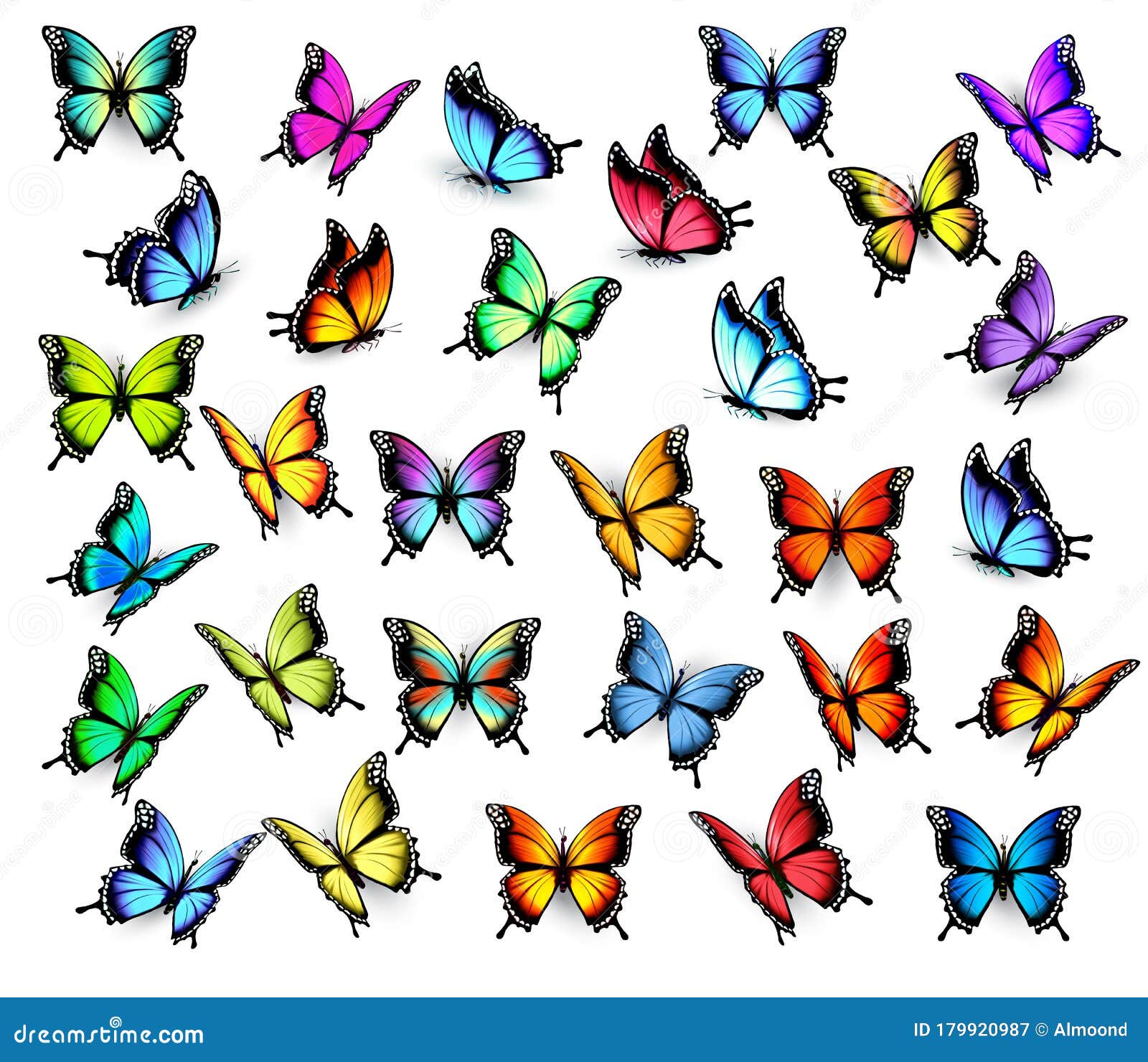 Big Collection of Colorful Butterflies, Flying in Different Directions ...