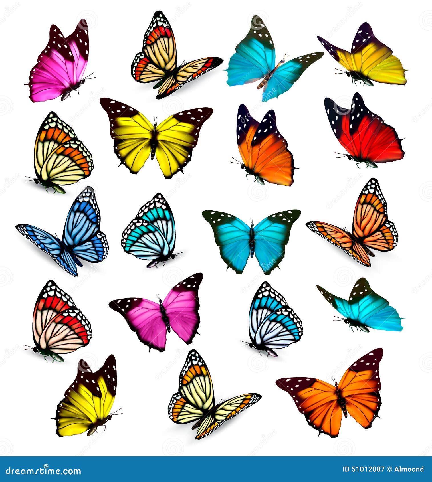Colorful Butterflies: Realistic Portrayal Of Light And Shadow Royalty ...