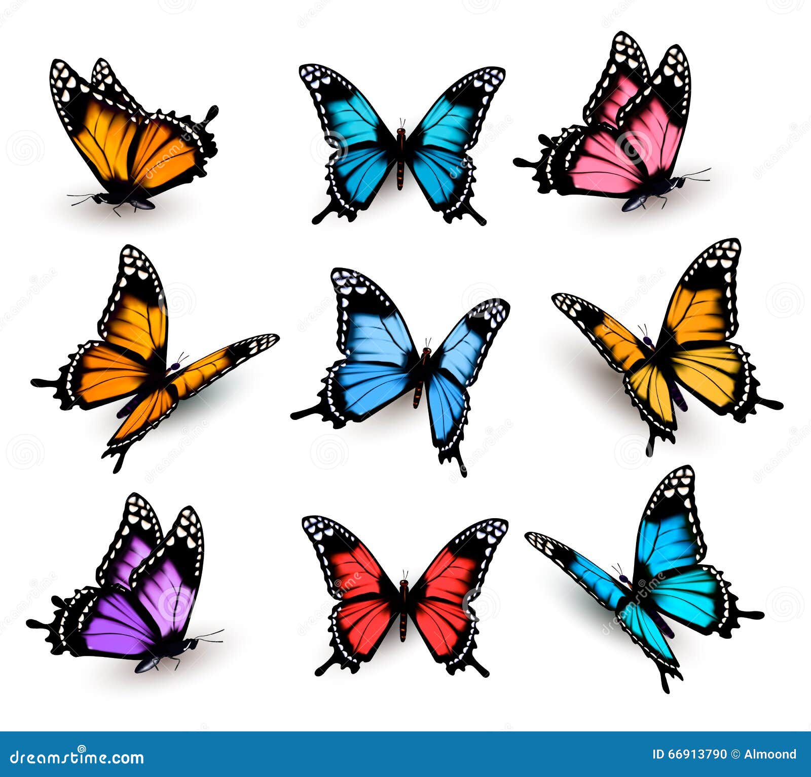 Big Collection of Colorful Butterflies. Stock Vector - Illustration of ...