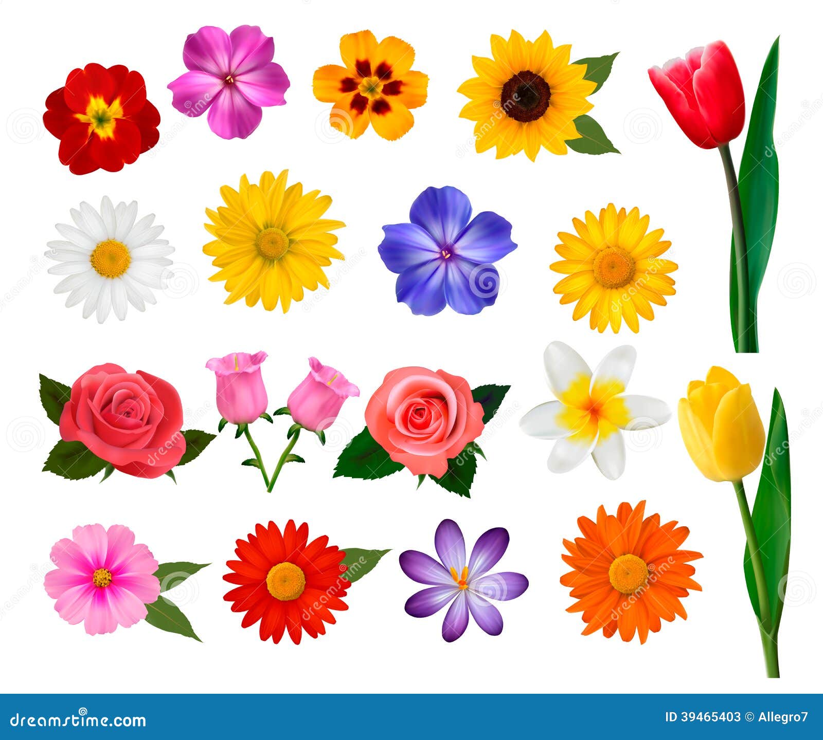 Big Collection of Colorful Flowers. Stock Vector - Illustration of ...