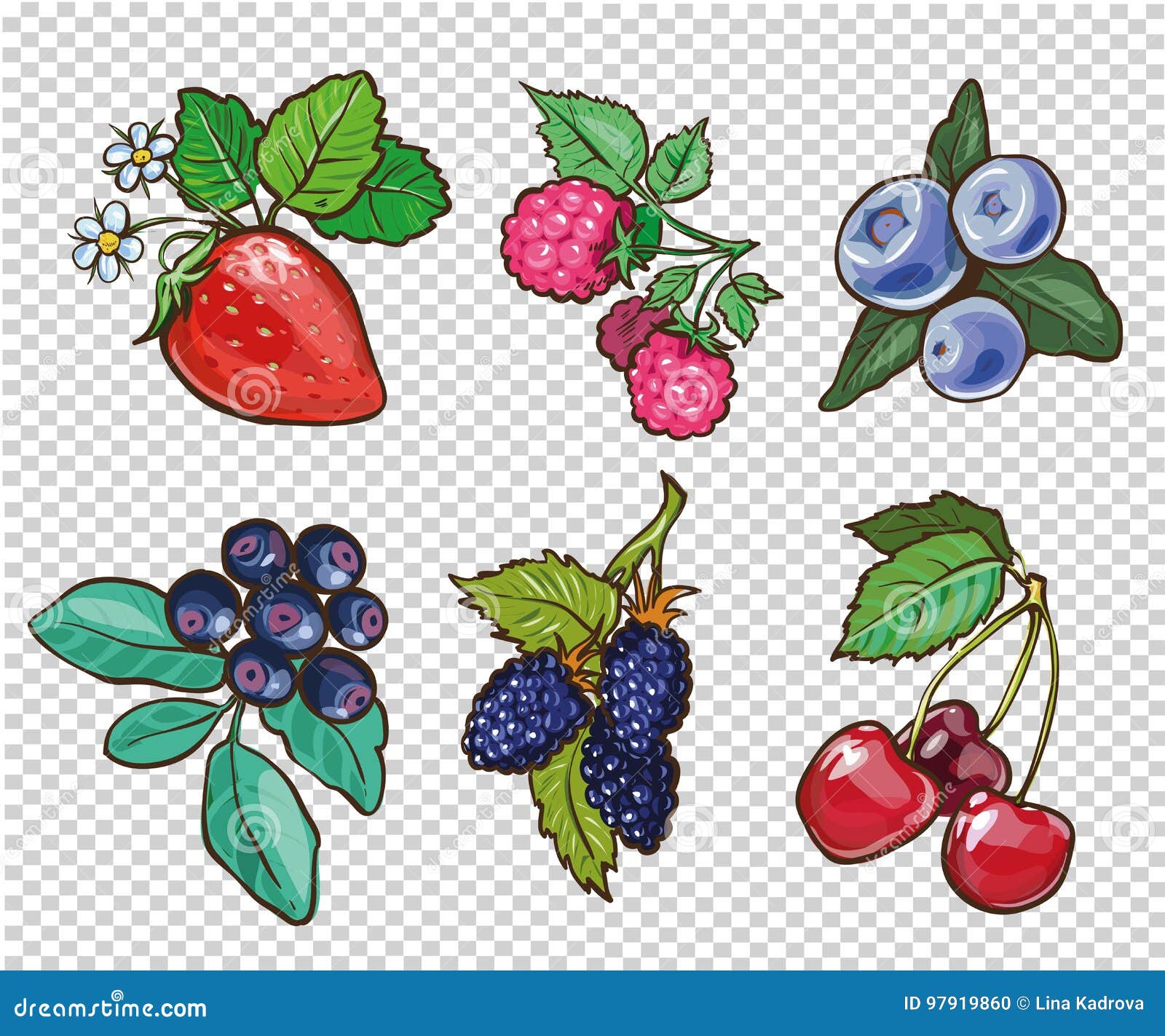 Big Collection of Hand Drawn Berries. Vector Illustration Stock Vector ...