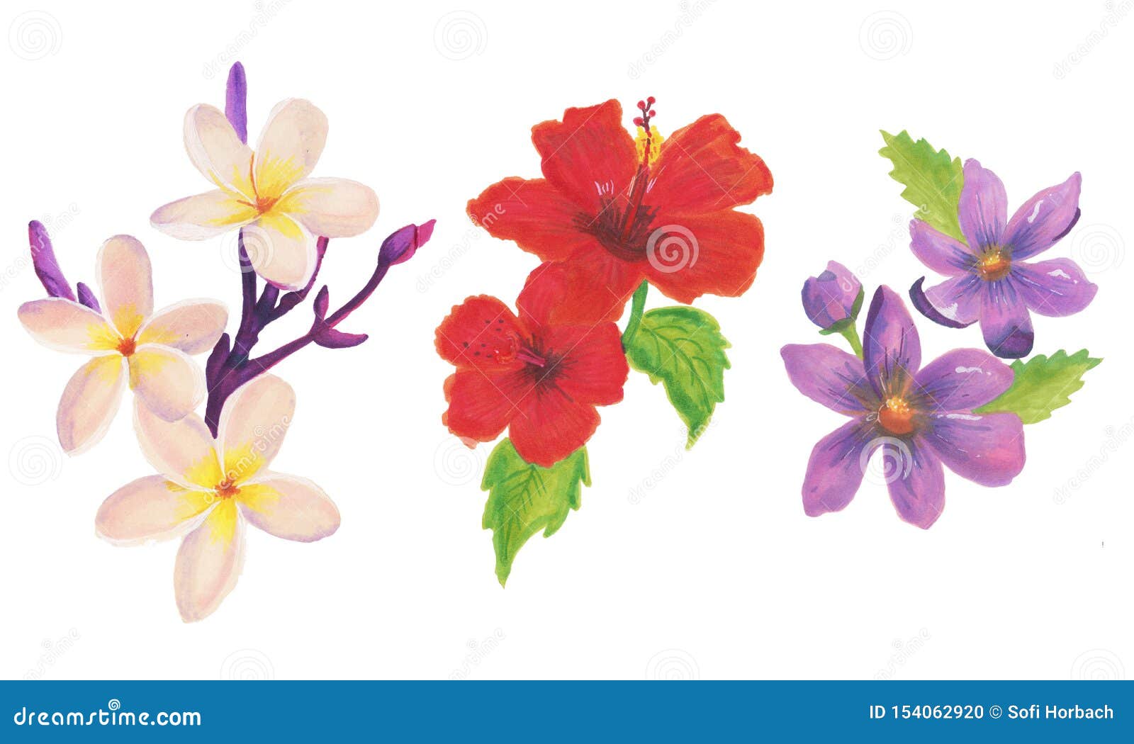Big Collection or Set of Realistic Flowers for Design Stock Photo ...