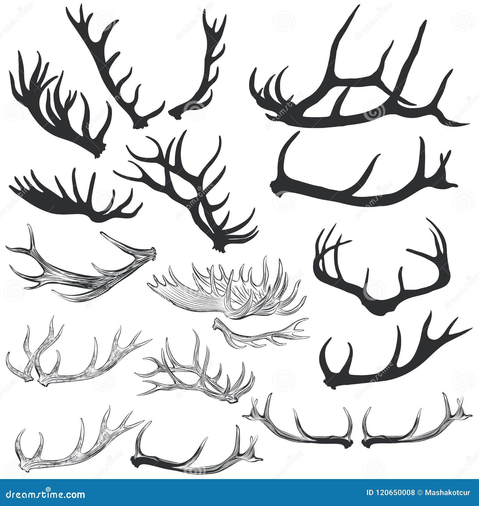 Big Collection of Vector Deer Horns Stock Vector - Illustration of ...