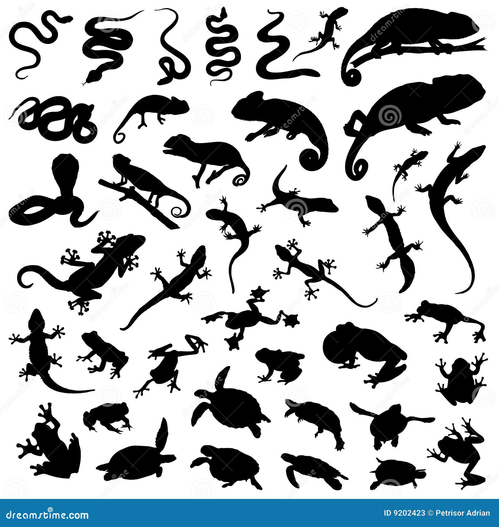 Big Collection Vector Reptiles Amphibians Stock Vector - Illustration ...