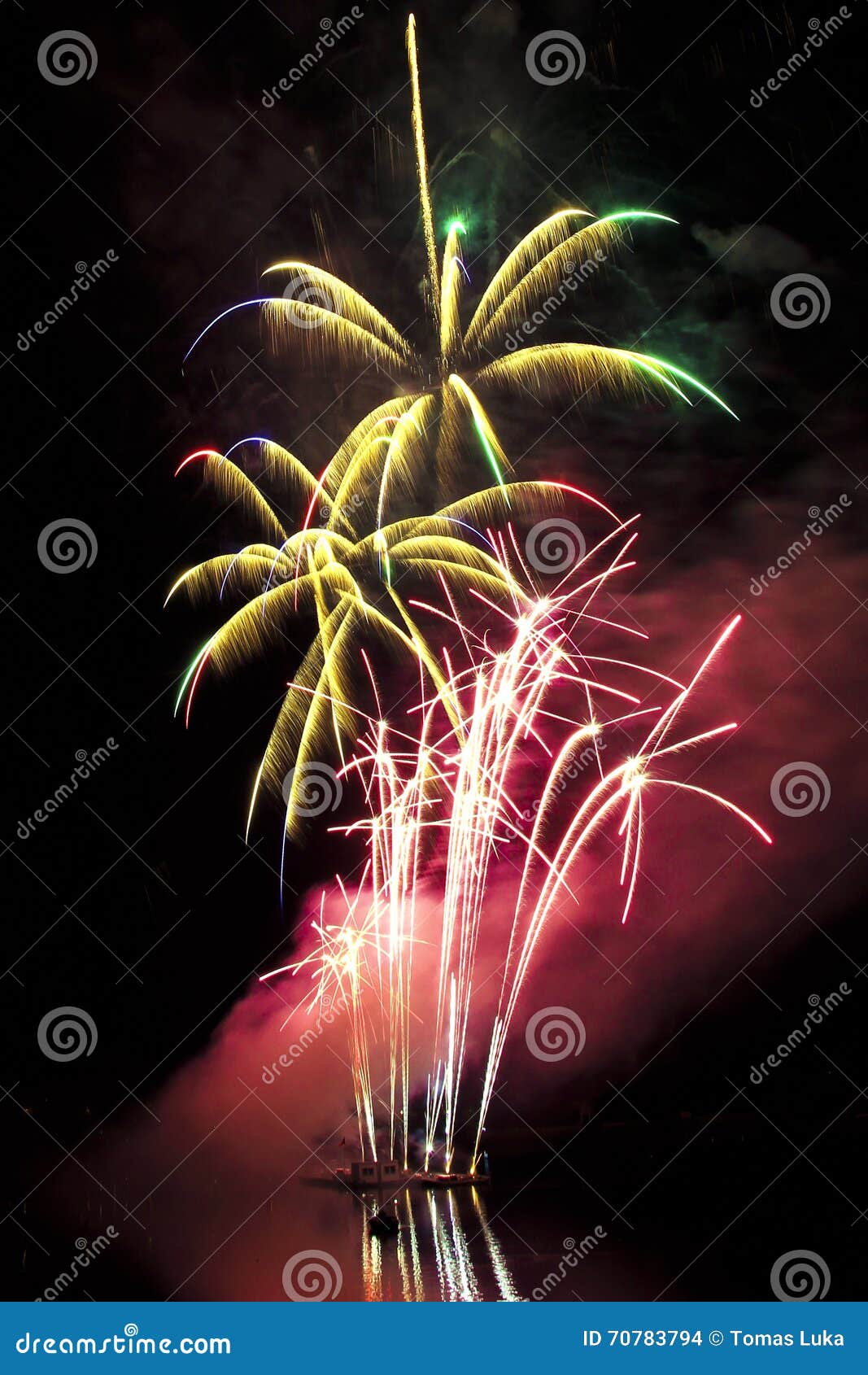 Big Colorful Fireworks in the Shape of Palm Trees Stock Photo - Image ...