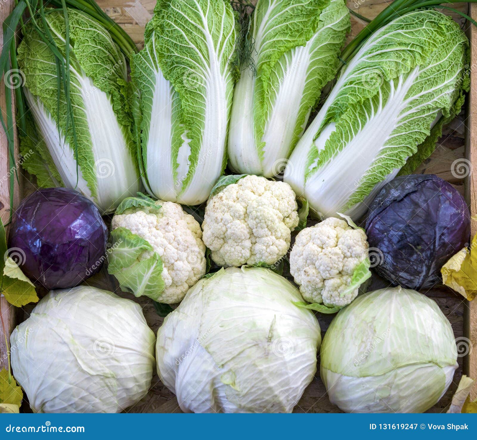 Composition from Different Varieties of Cabbage on Wooden Background ...