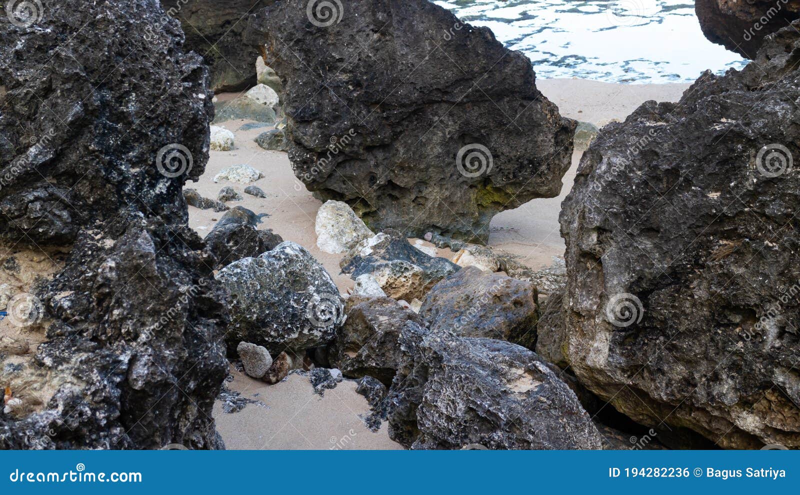 Big coral in the ocean stock photo. Image of natural - 194282236