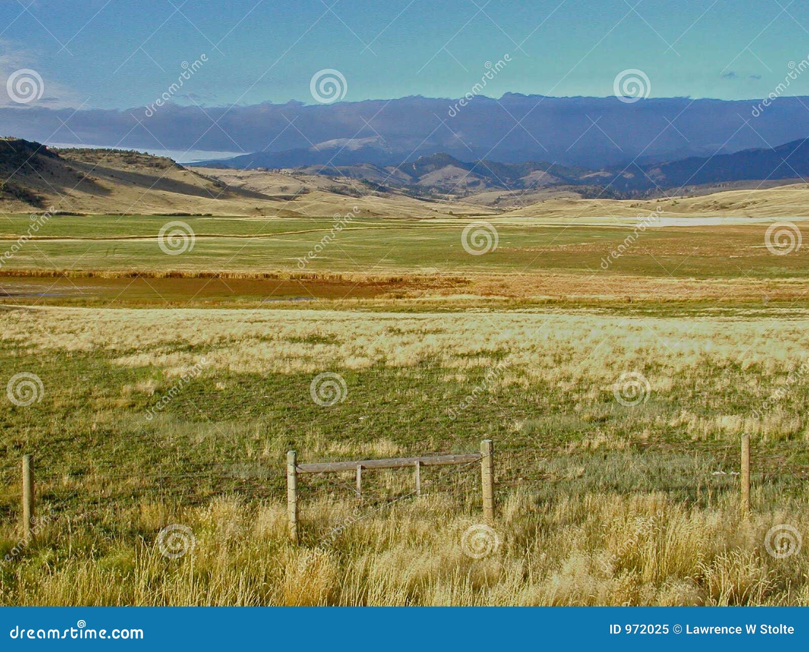 Big Country stock image. Image of fields, trees, vast, meadows - 972025
