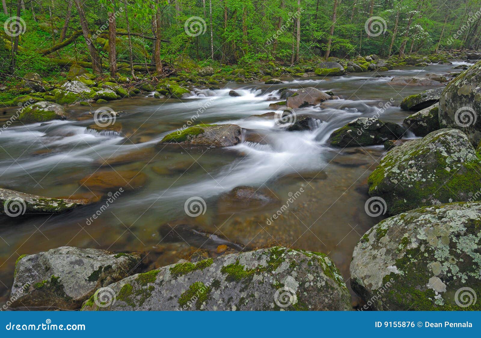 Big Creek stock photo. Image of green, seasons, outdoors - 9155876