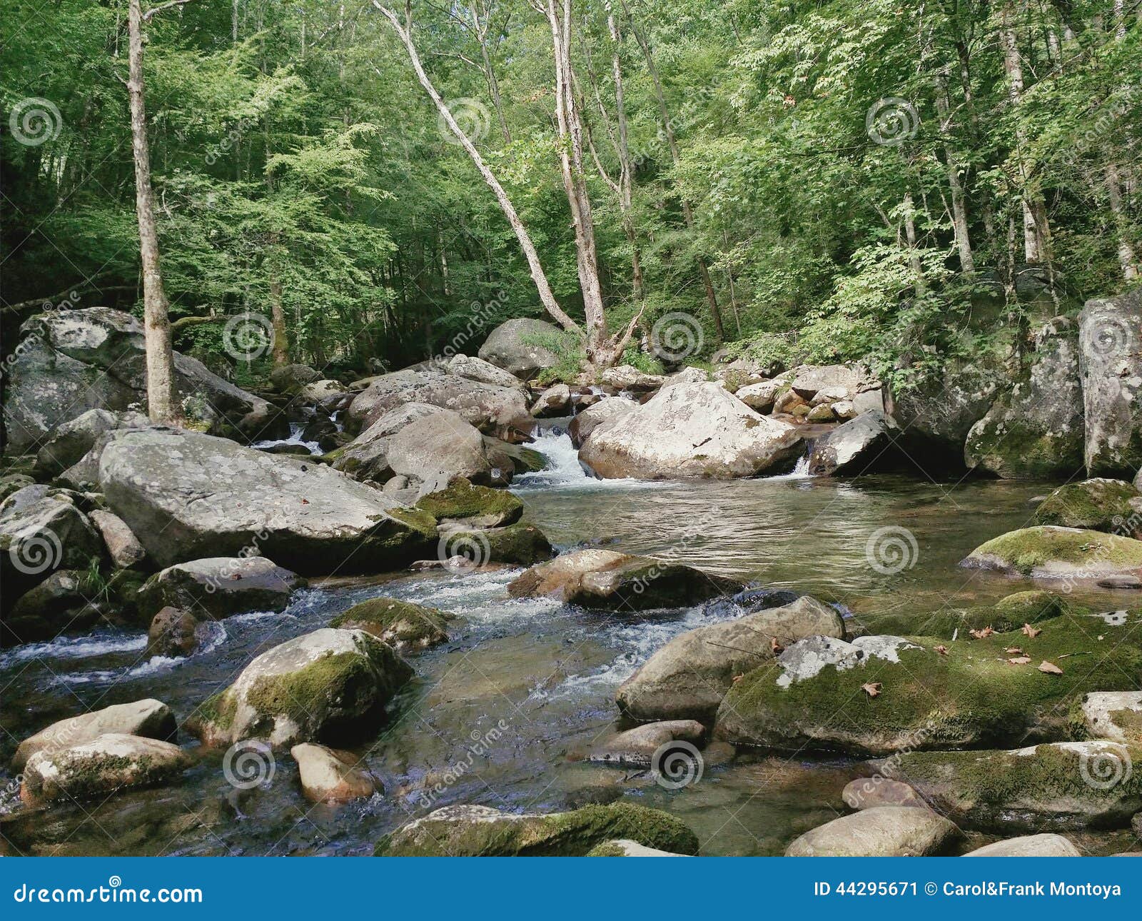 Big Creek stock image. Image of appalachianmountains - 44295671