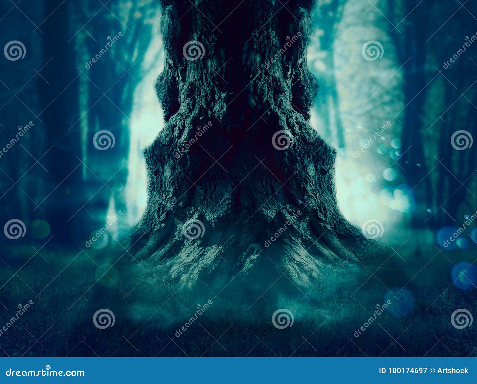 Spooky Tree in the Forest stock image. Image of mysterious - 100174697