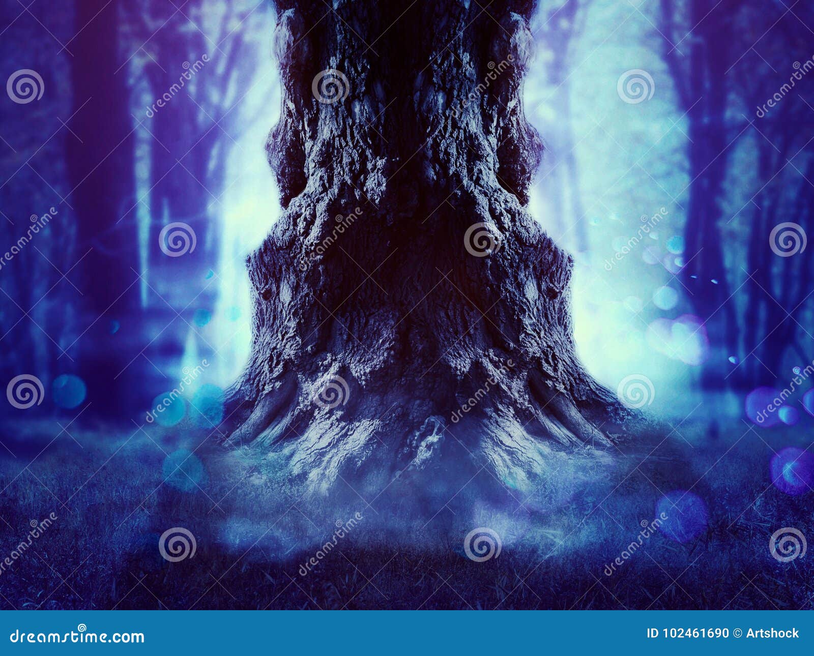 Spooky Tree in the Forest stock photo. Image of nature - 102461690