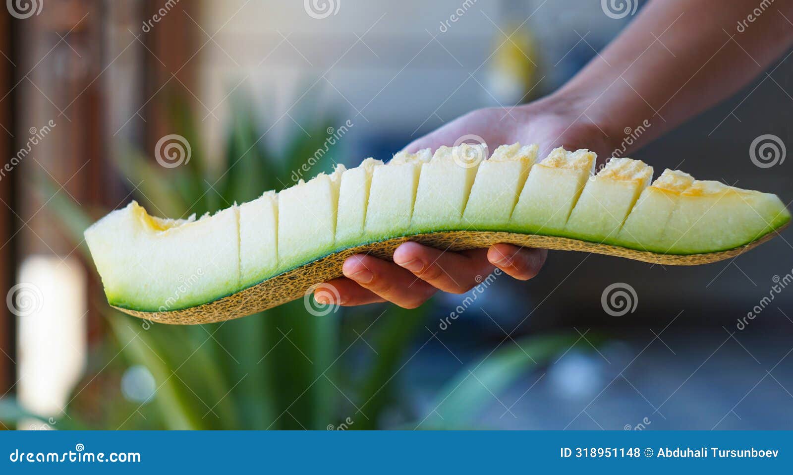 A Big Cut Melon in the Girl S Hand Stock Photo - Image of happiness ...