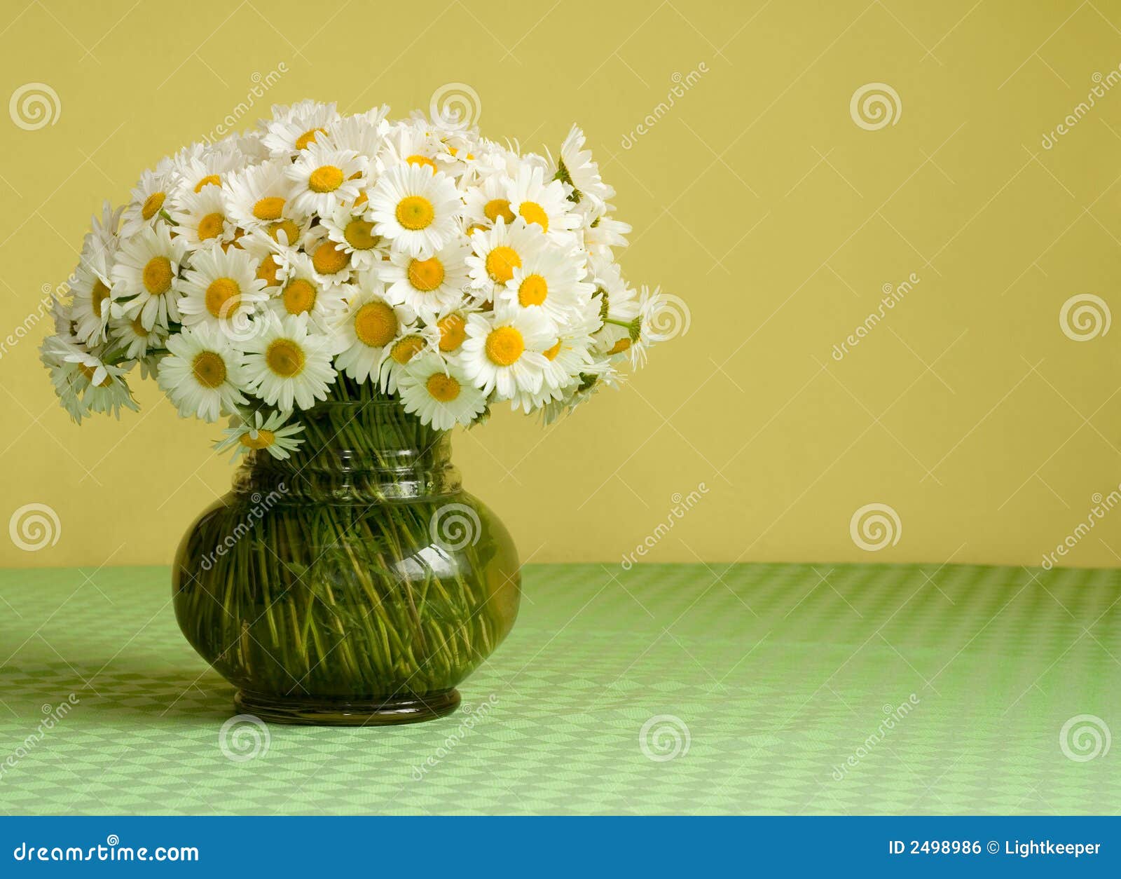 Daisy Bouquet On Black Background Signify Love, Beauty, And Fertility ...