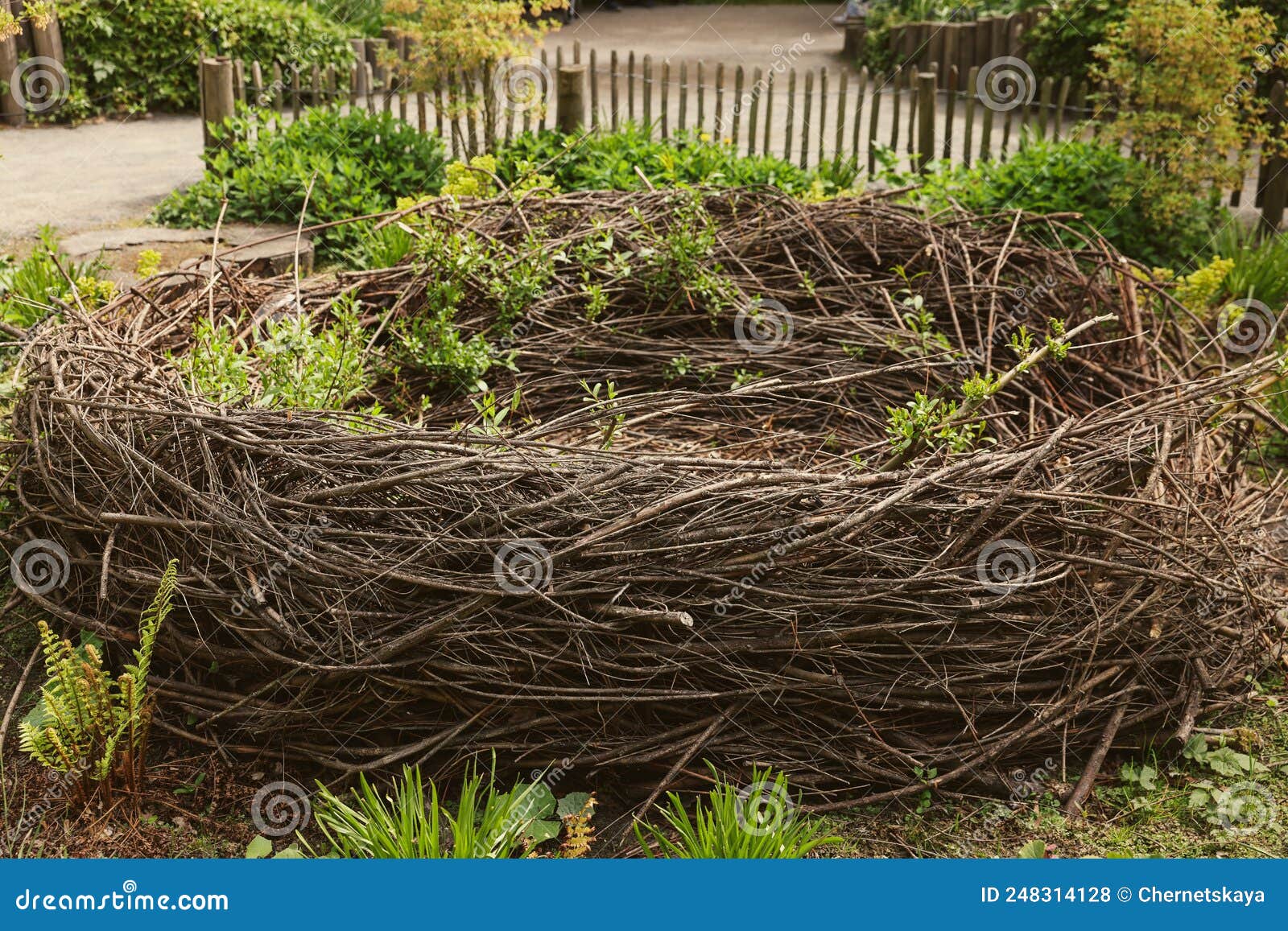 Big Decorative Nest with Green Plants Outdoors Stock Photo - Image of ...
