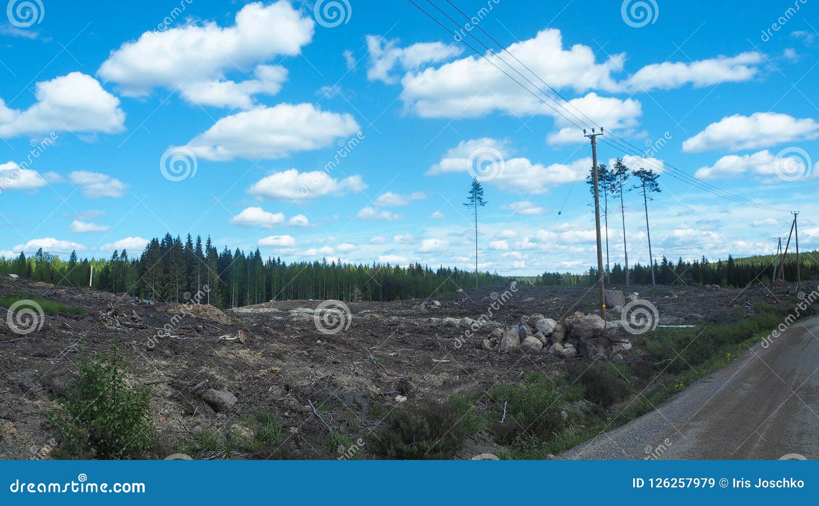 Big Deforestation in Finland Stock Image - Image of nature, rock: 126257979
