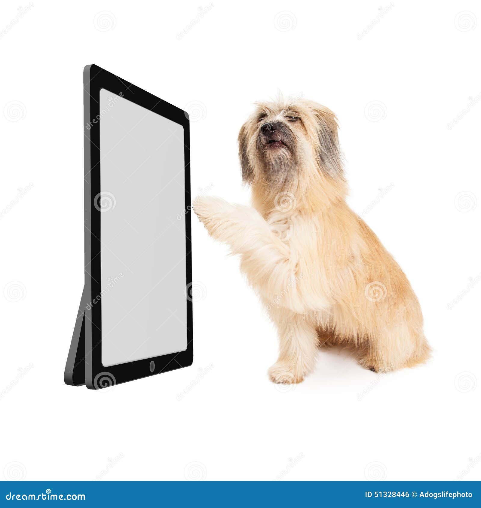 Big Dog Scrolling Flat Screen Display Stock Photo - Image of white ...
