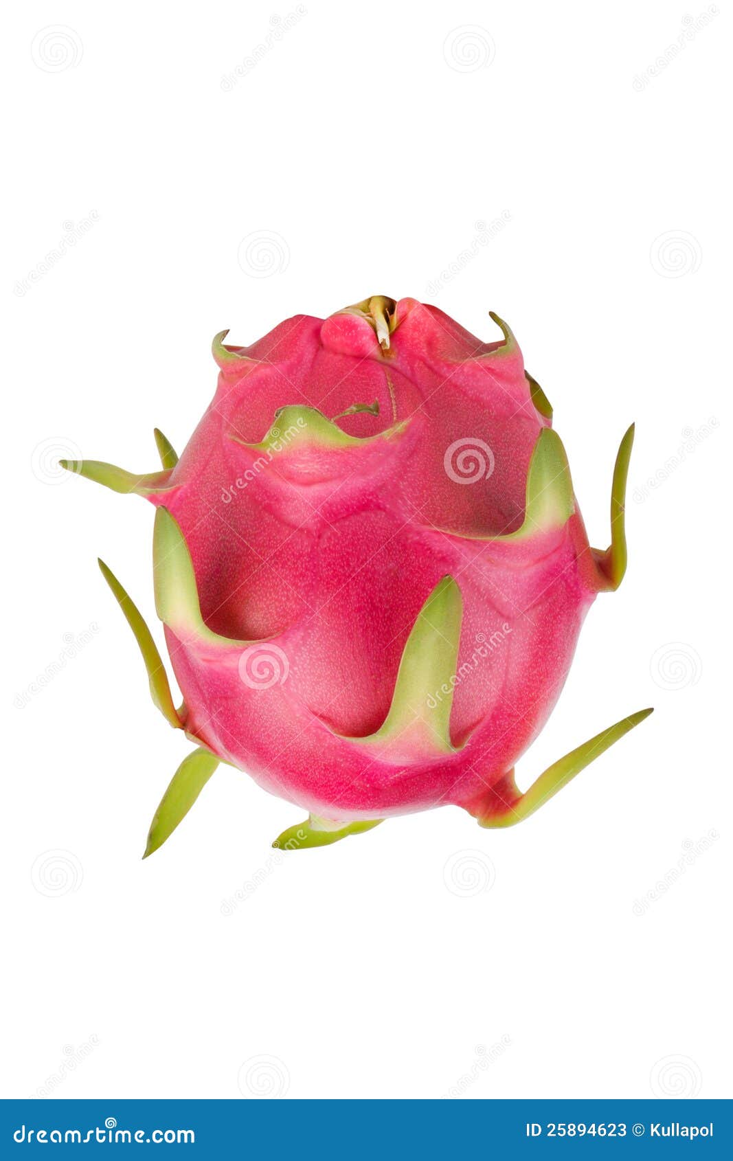 Big dragon fruit stock image. Image of plant, east, organic - 25894623