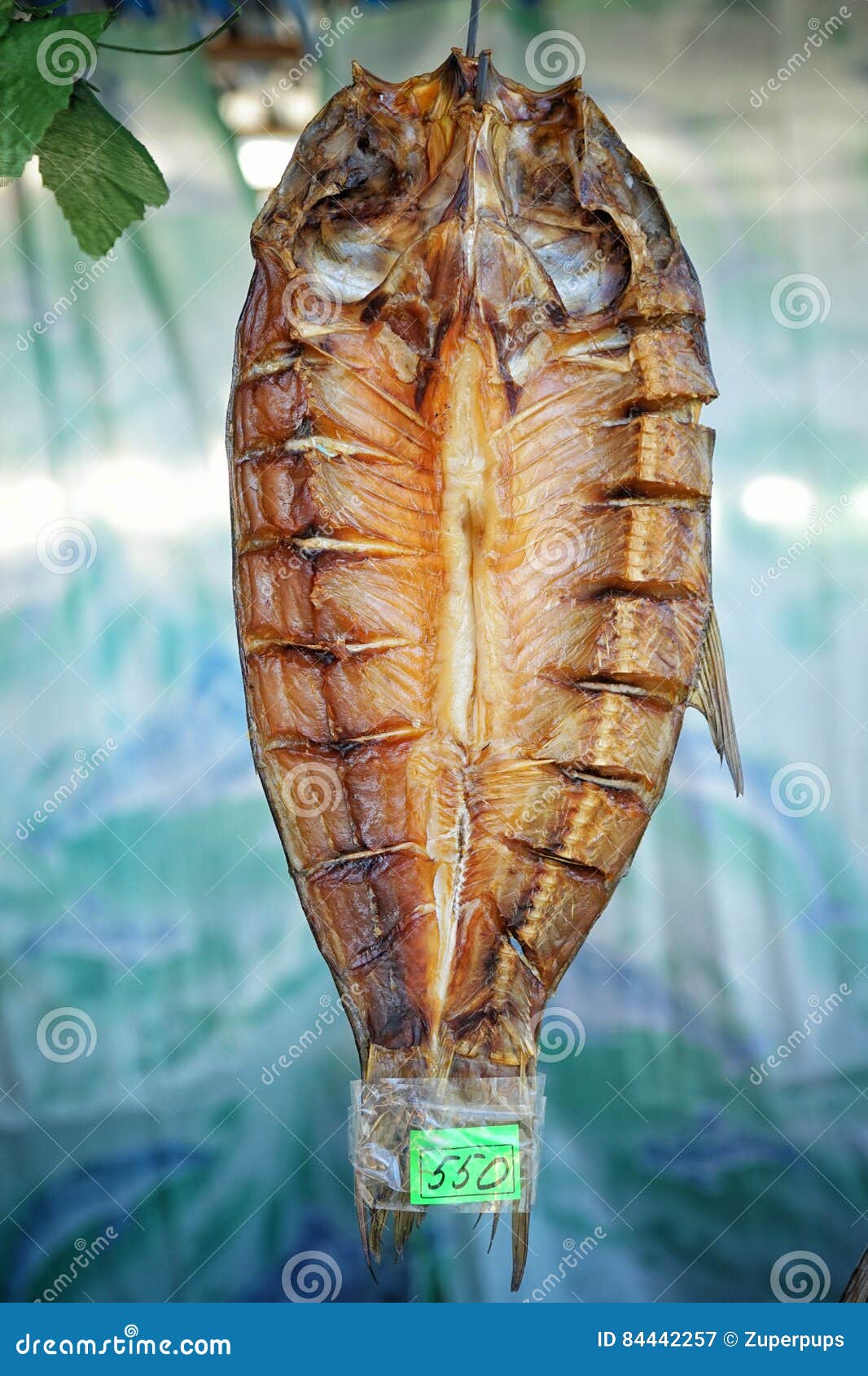Big dried fish stock image. Image of stockfish, roach - 84442257