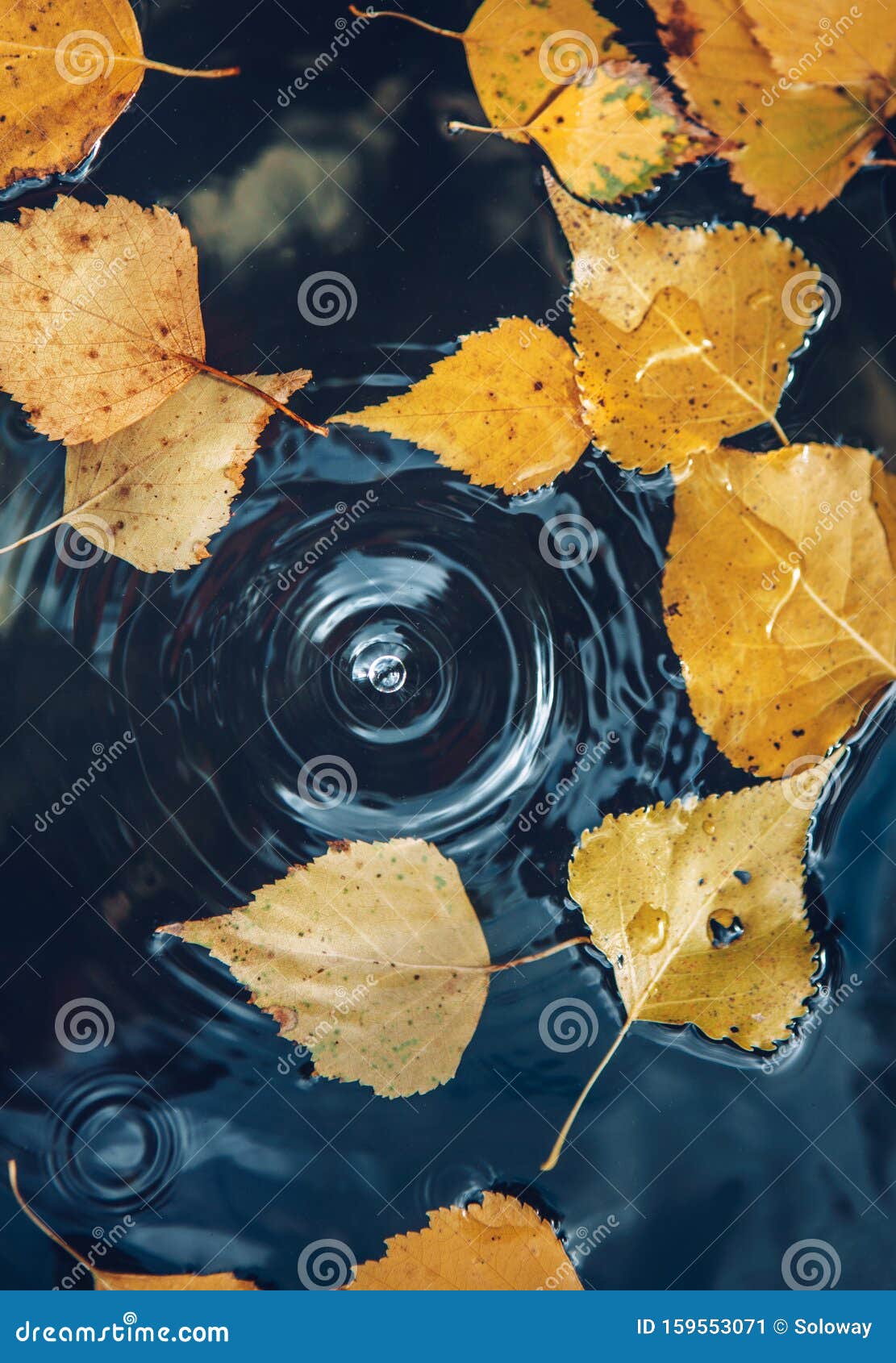 Big Drop Falling on Puddle Leaving a Radial Circles on Surface with ...