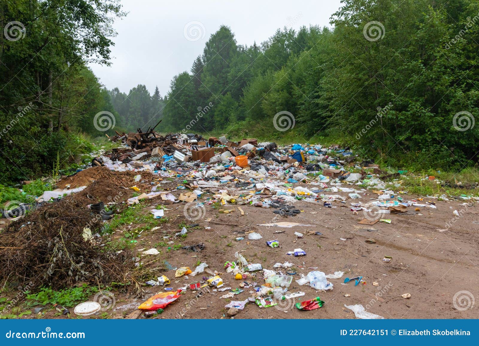 A Big Dump in the Middle of the Forest Stock Image - Image of landfill ...
