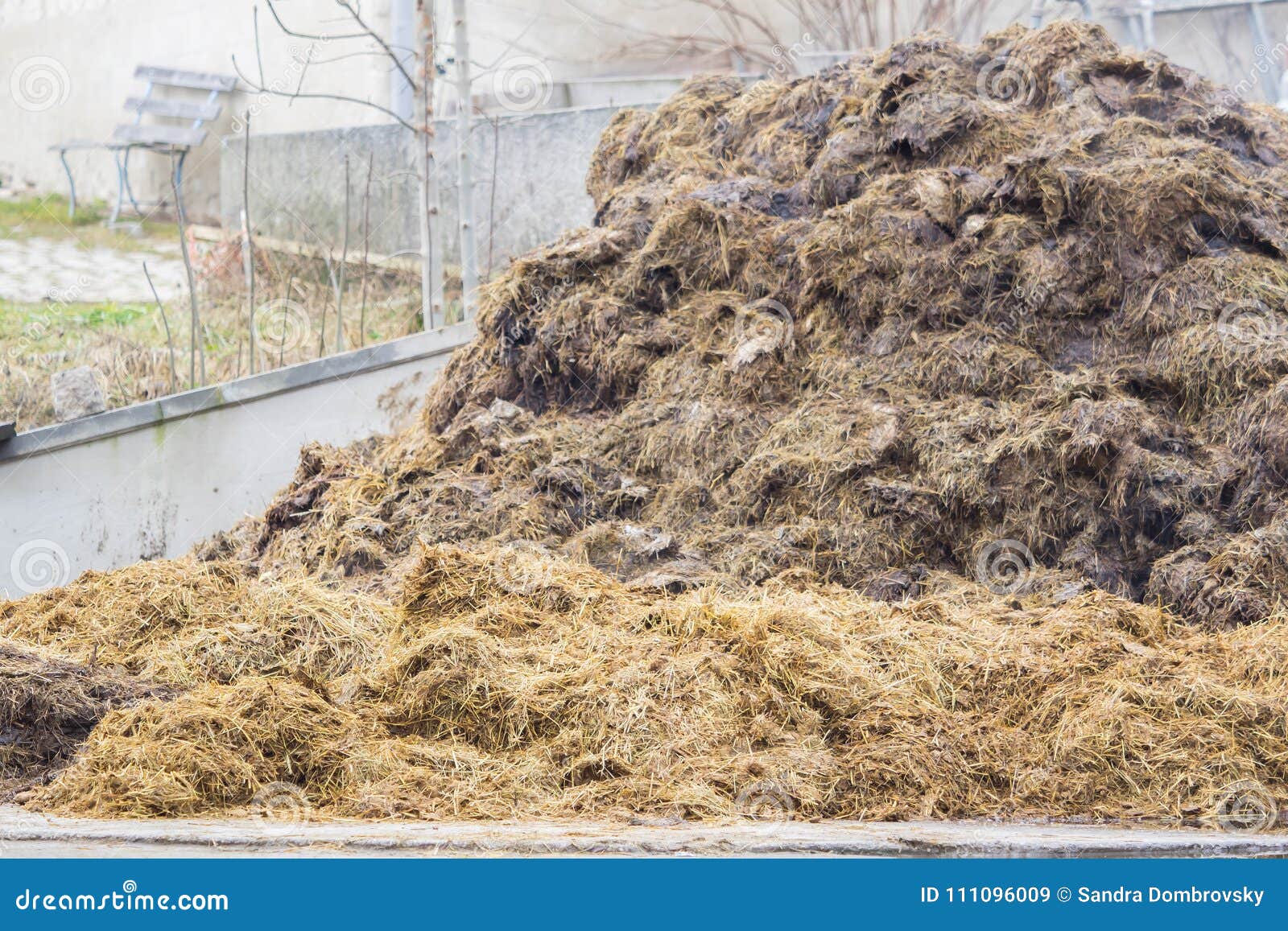 A big dung heap on a farm stock image. Image of natural - 111096009
