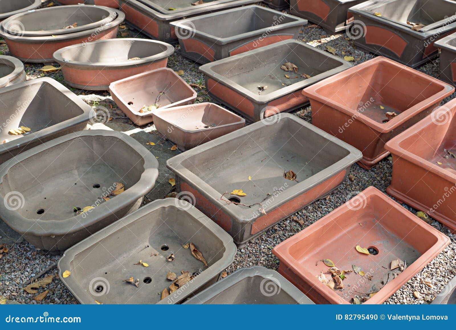 Big Empty Bonsai Pots On Garden Stones Stock Photography ...