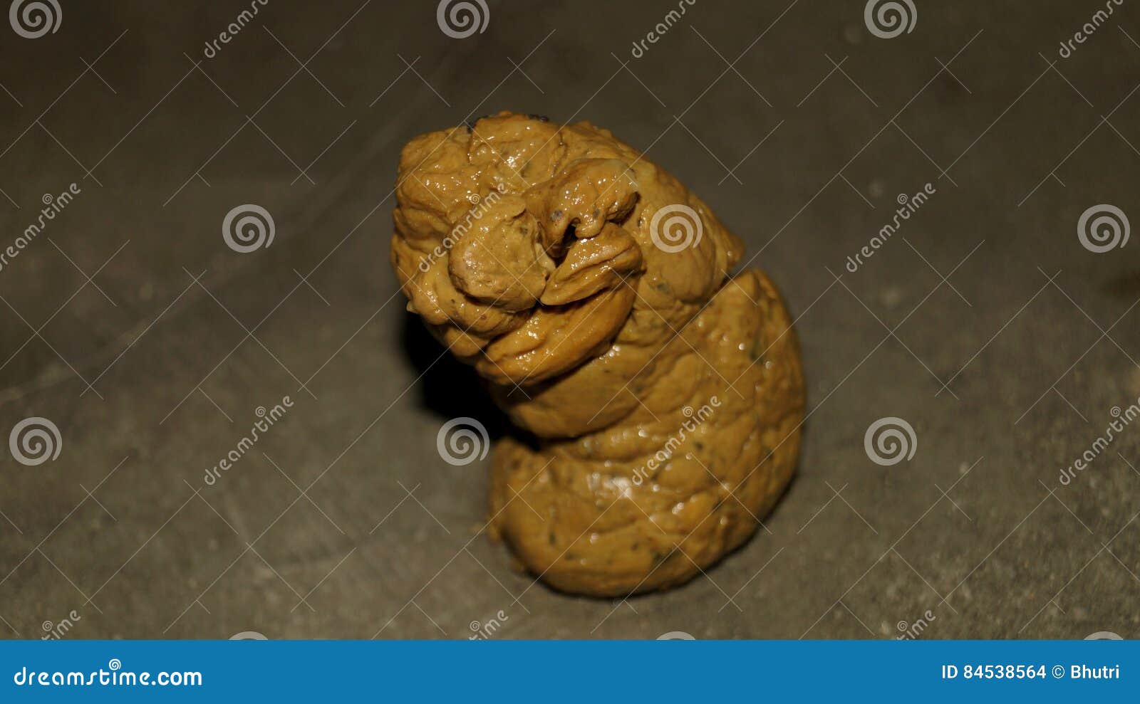 Big Excrement stock photo. Image of fresh, smell, nasty - 84538564