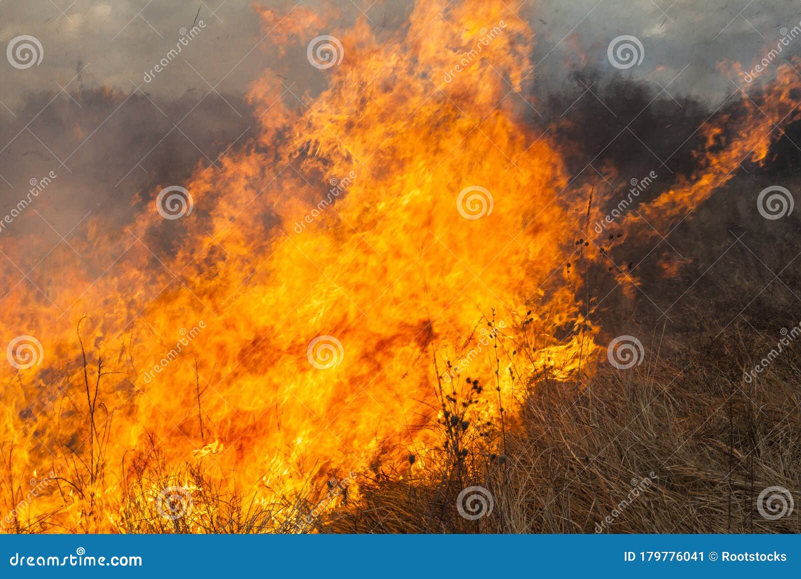 Big fire in the field stock image. Image of environment - 179776041