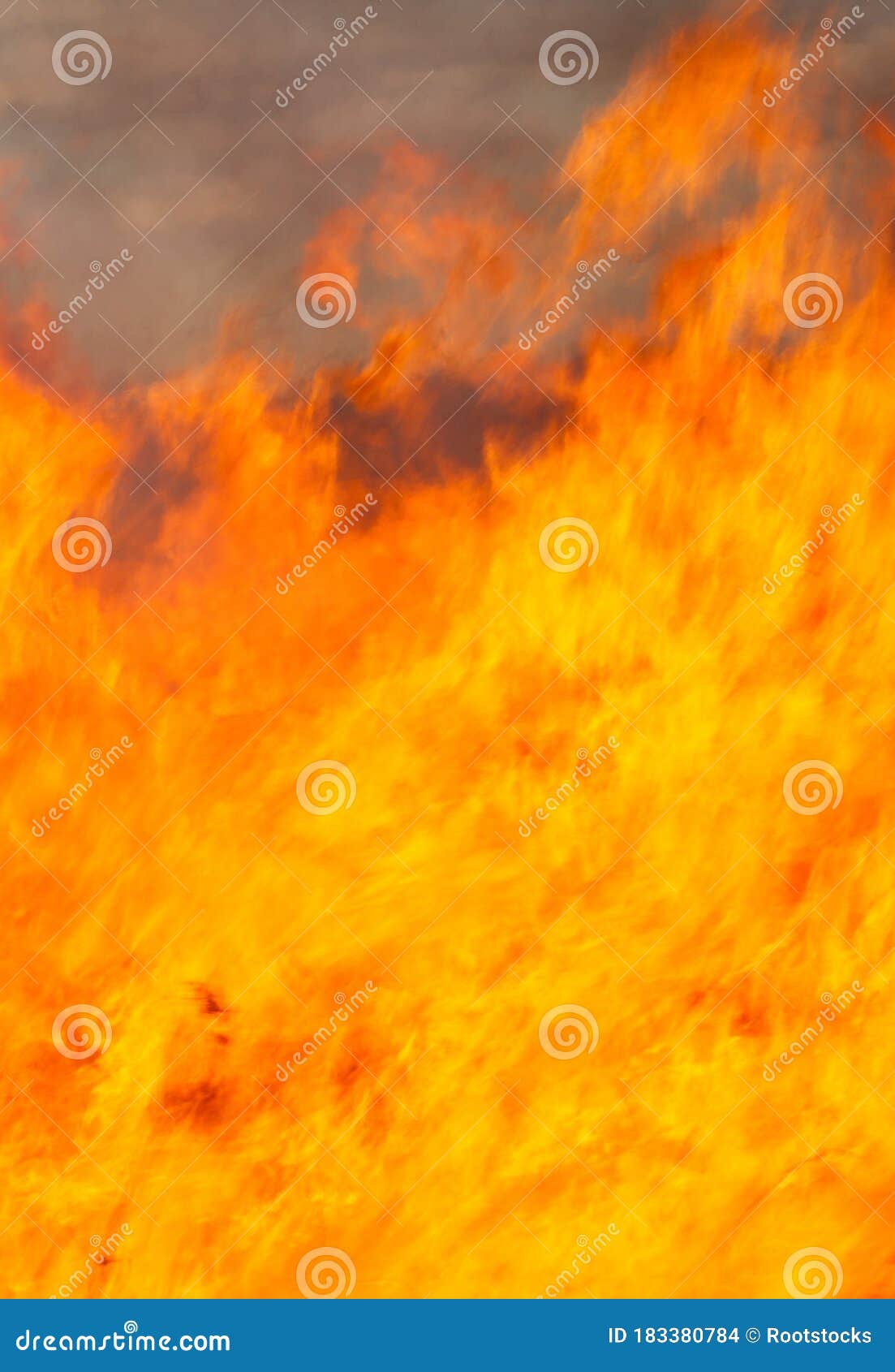 Big fire in the field stock photo. Image of danger, blaze - 183380784