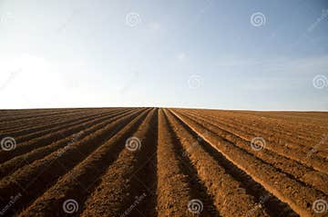Big field stock image. Image of farming, fields, land - 12363209