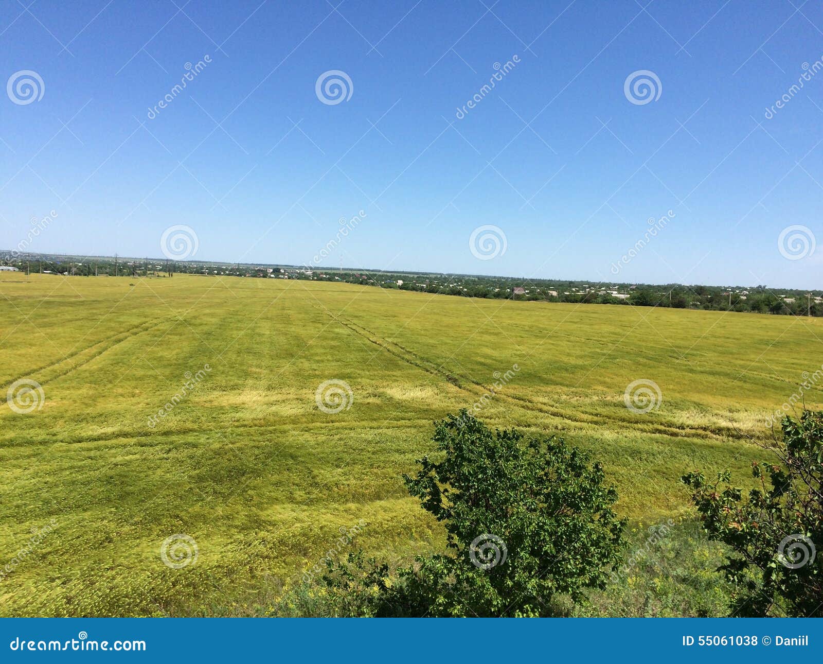 Big field stock photo. Image of world, field, nature - 55061038