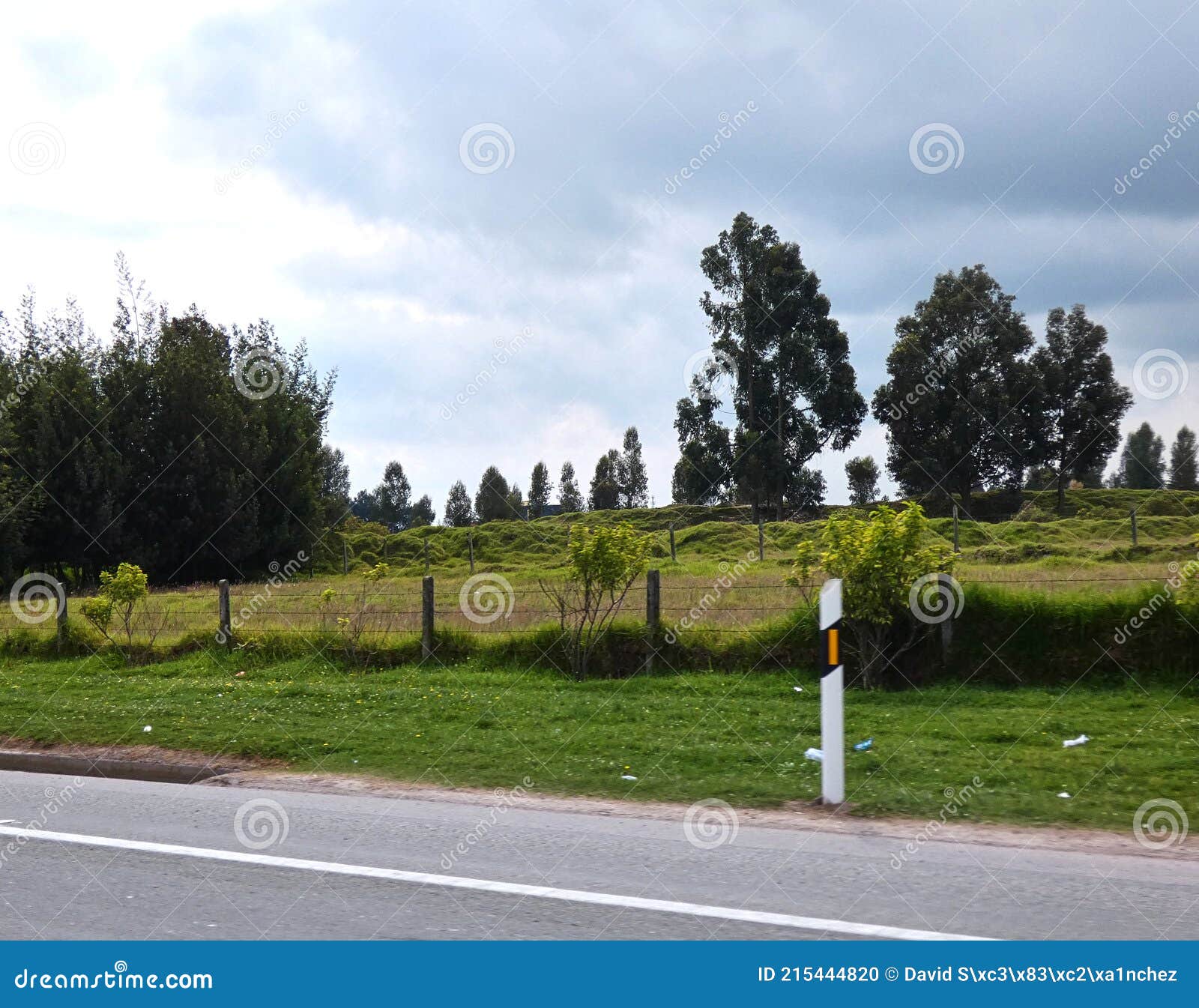 Field Full of Trees on the Plain Stock Photo - Image of travel, city ...