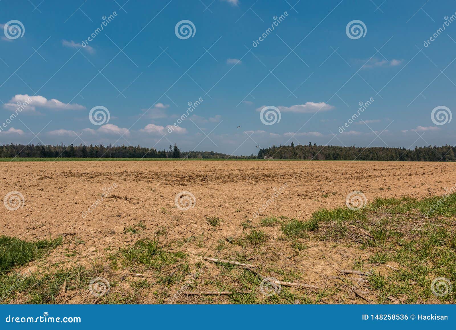 Big Fields in the Middle of the German Countryside with Hills, Forests ...