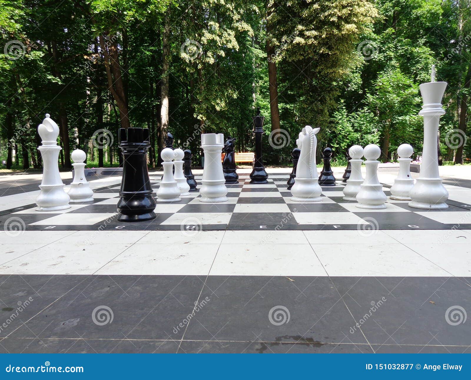 Big Figures of Chess with Trees on the Background. Stock Image - Image ...