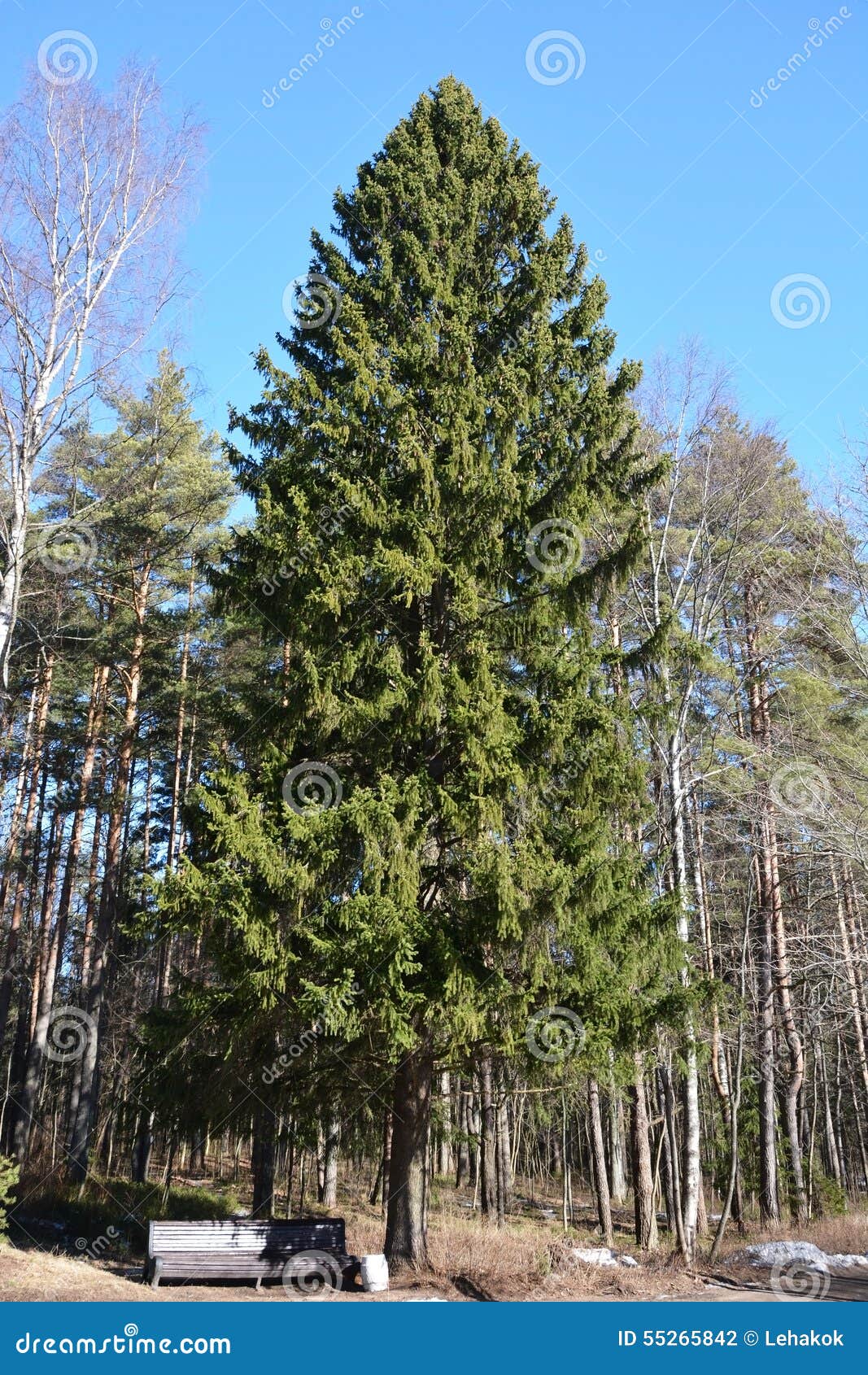 Obelix VS the strongest Twamp in Twilight in a contest of strength ...