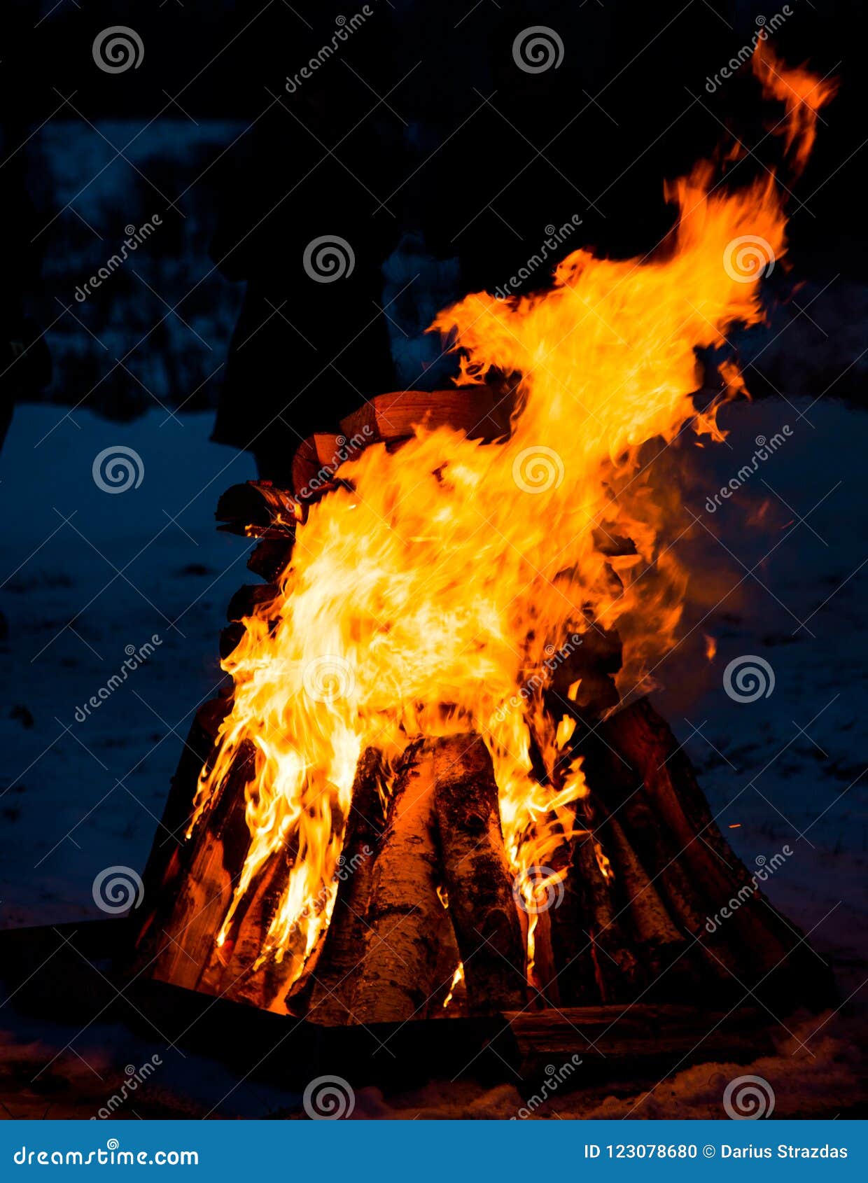 Big fire of birch trees stock photo. Image of huge, heap - 123078680