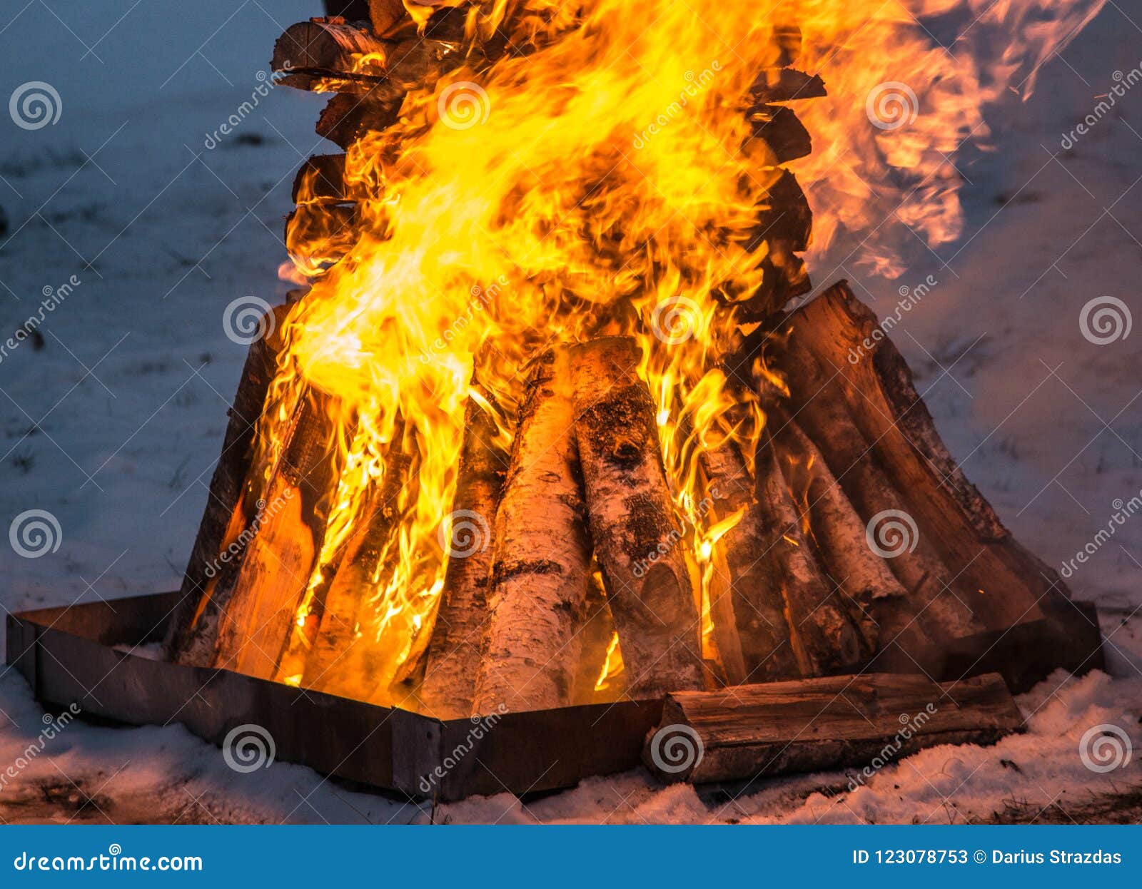 Big Fire of Birch Trees at Night Stock Image - Image of birch, huge ...