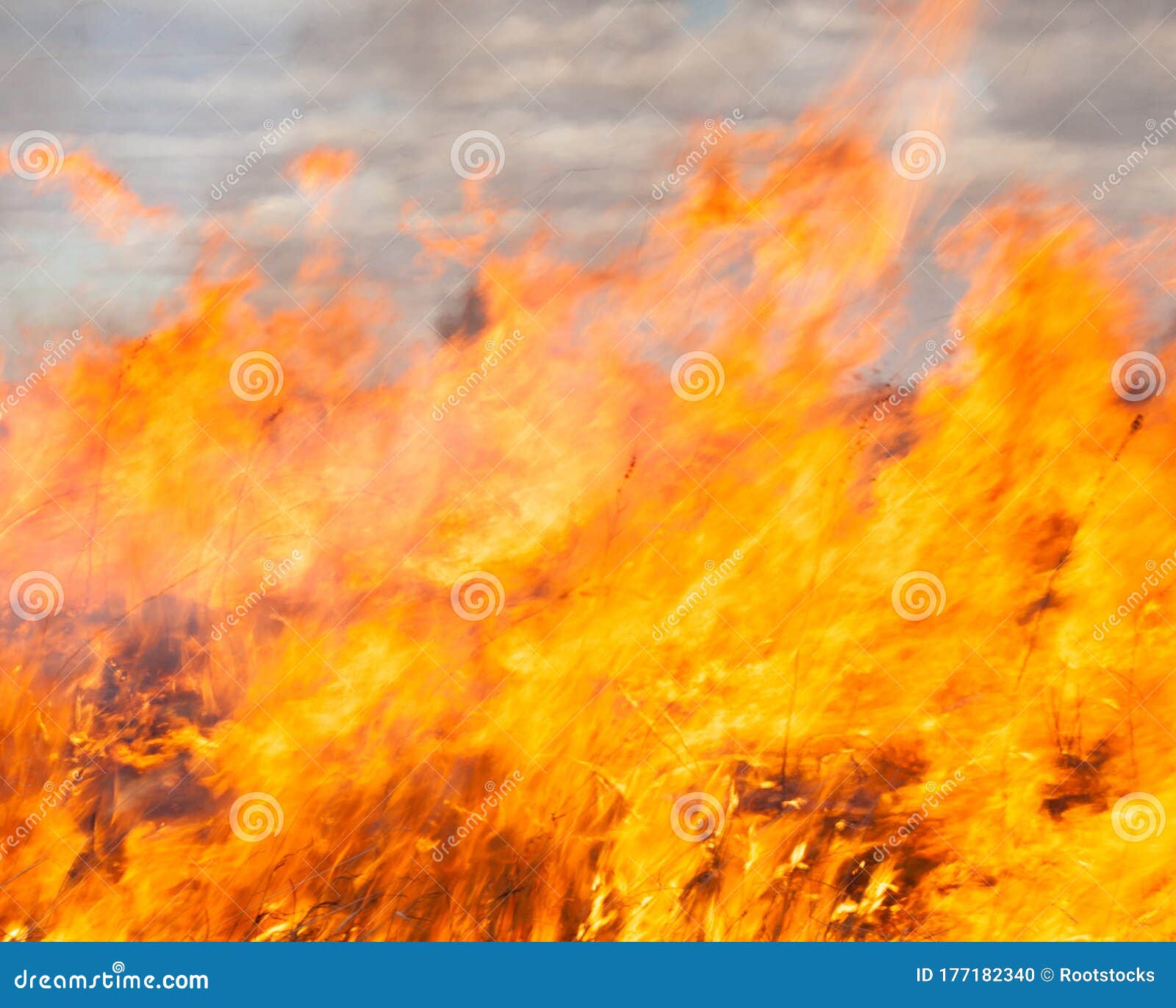 Big fire in the field stock photo. Image of environment - 177182340