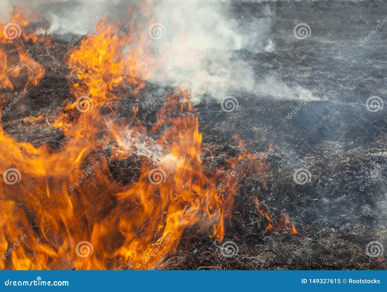 Big fire in the field stock image. Image of environmental - 149327615