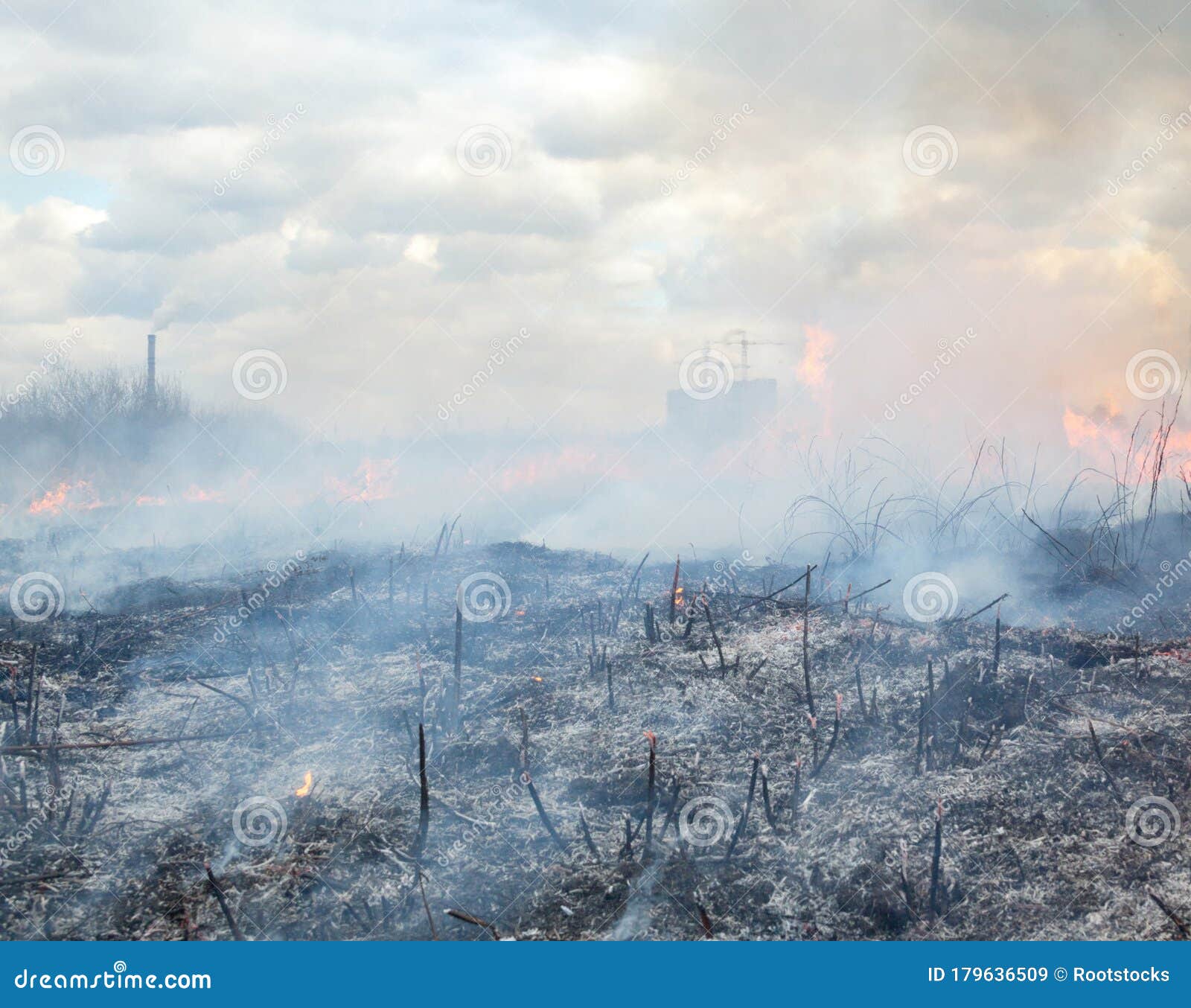 The big fire in the field stock image. Image of arson - 179636509