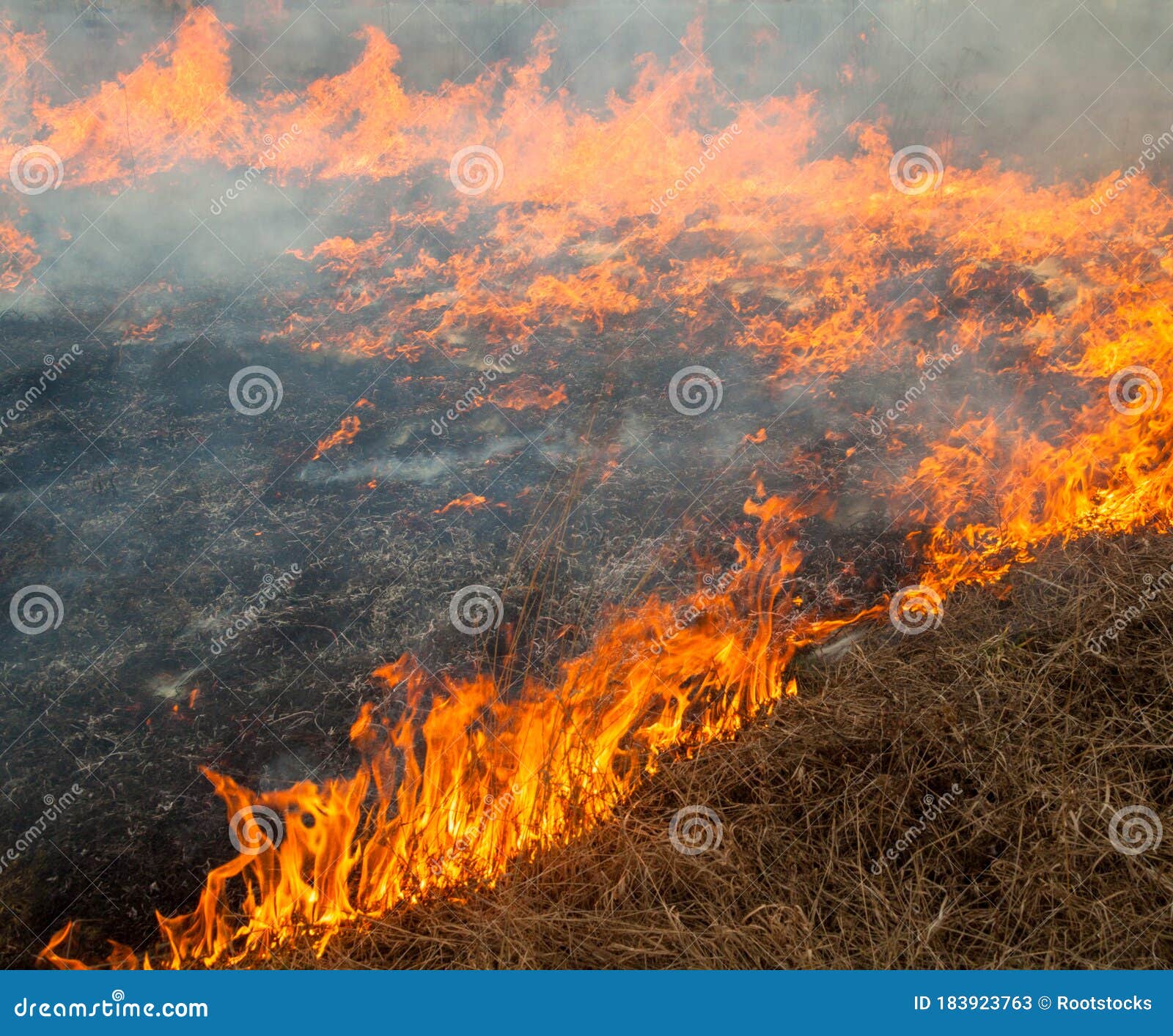 The big fire in the field stock image. Image of destroy - 183923763
