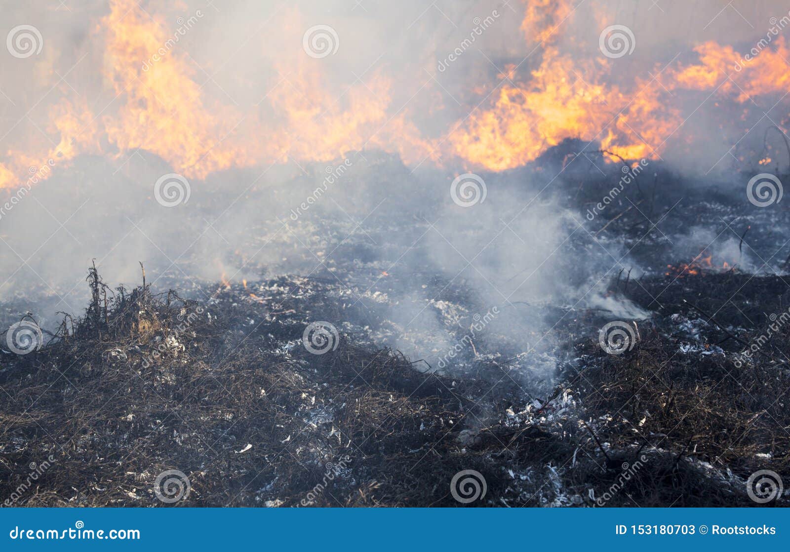 The big fire in the field stock image. Image of environmental - 153180703