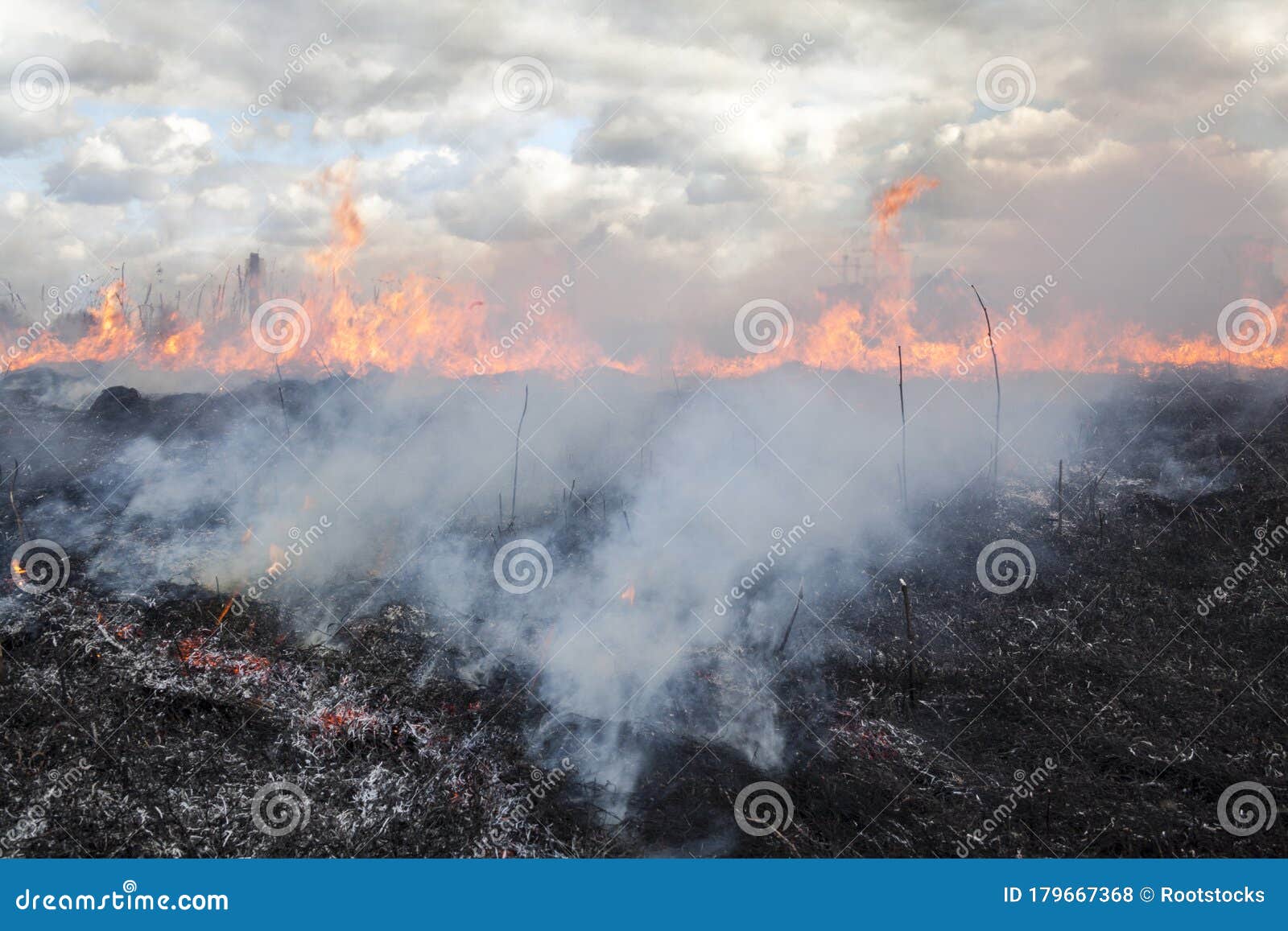 The big fire in the field stock photo. Image of environmental - 179667368