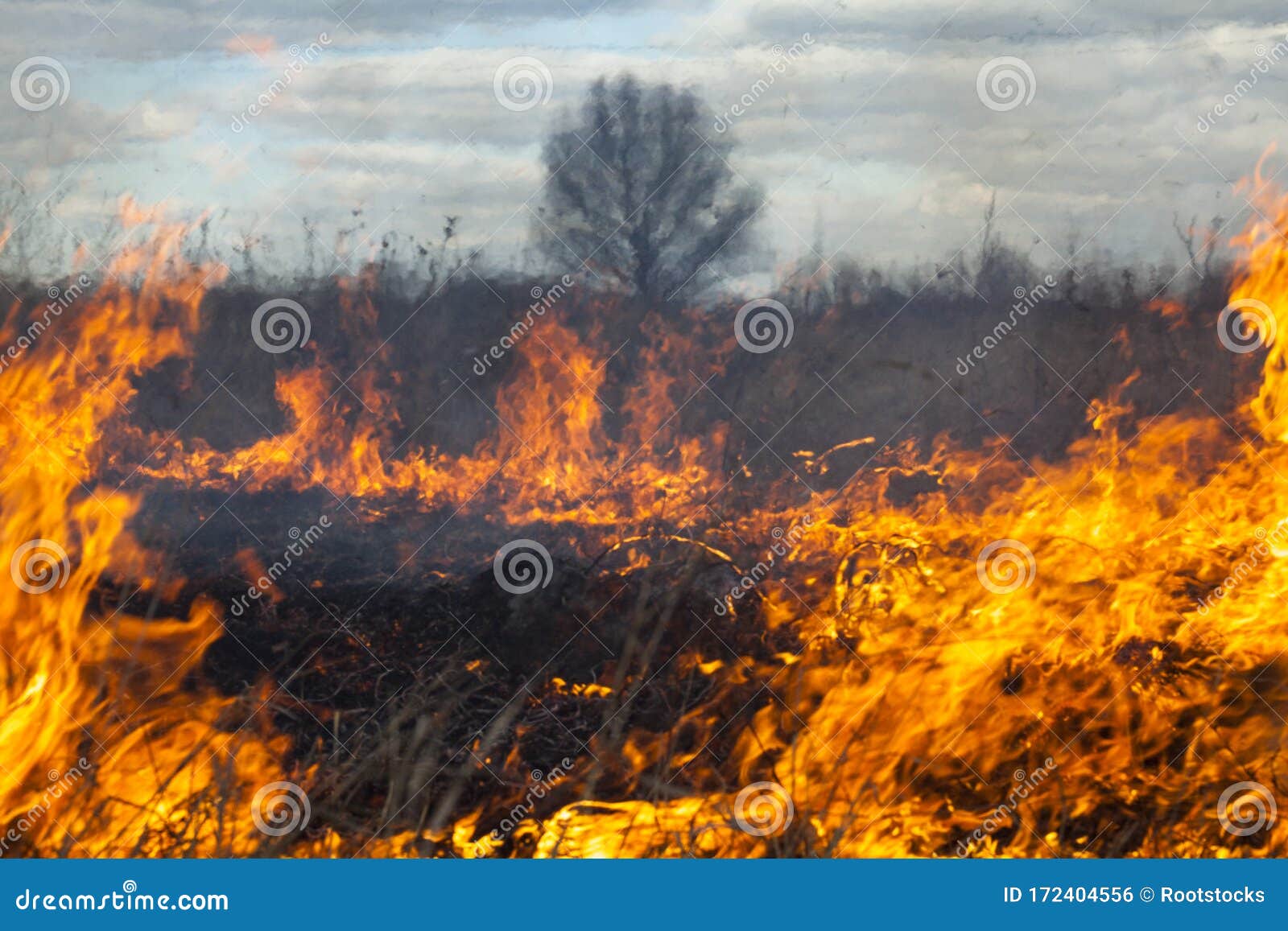 Big fire in the field stock photo. Image of closeup - 172404556