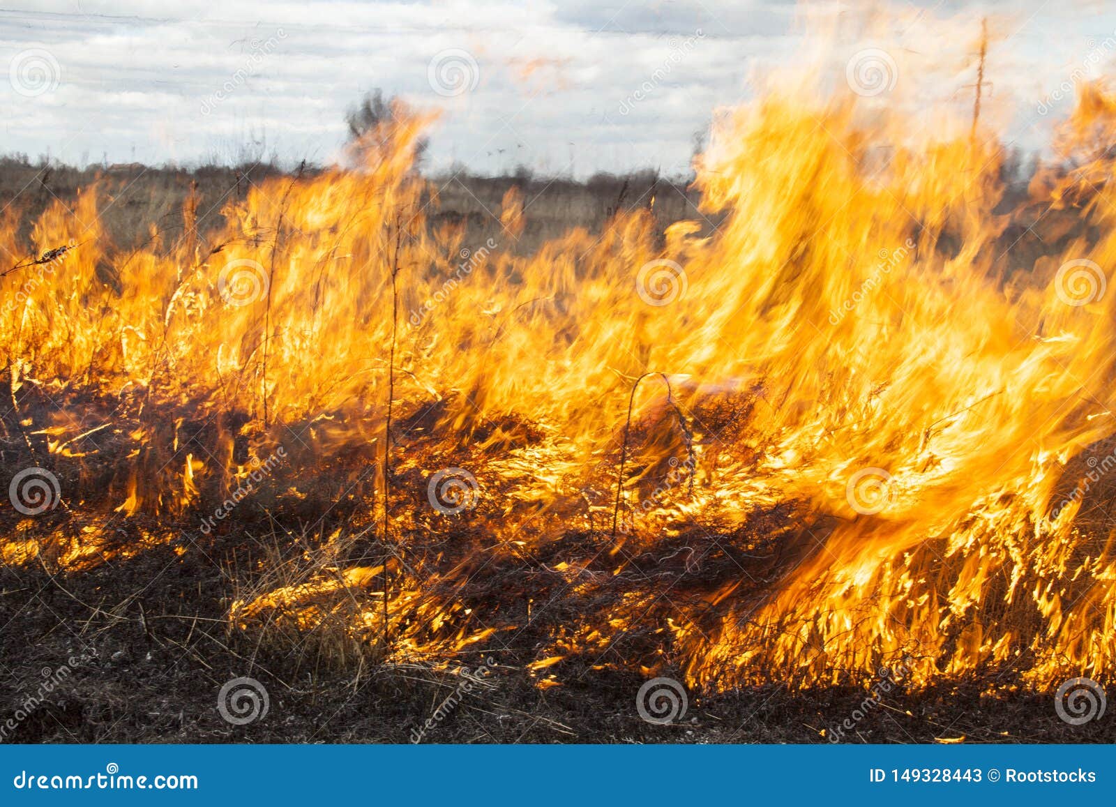 Big fire in the field stock image. Image of field, grassland - 149328443