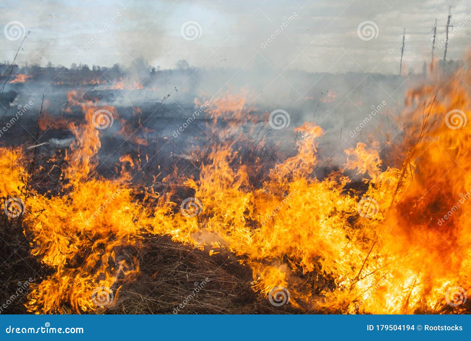 Big fire in the field stock photo. Image of damage, grass - 179504194