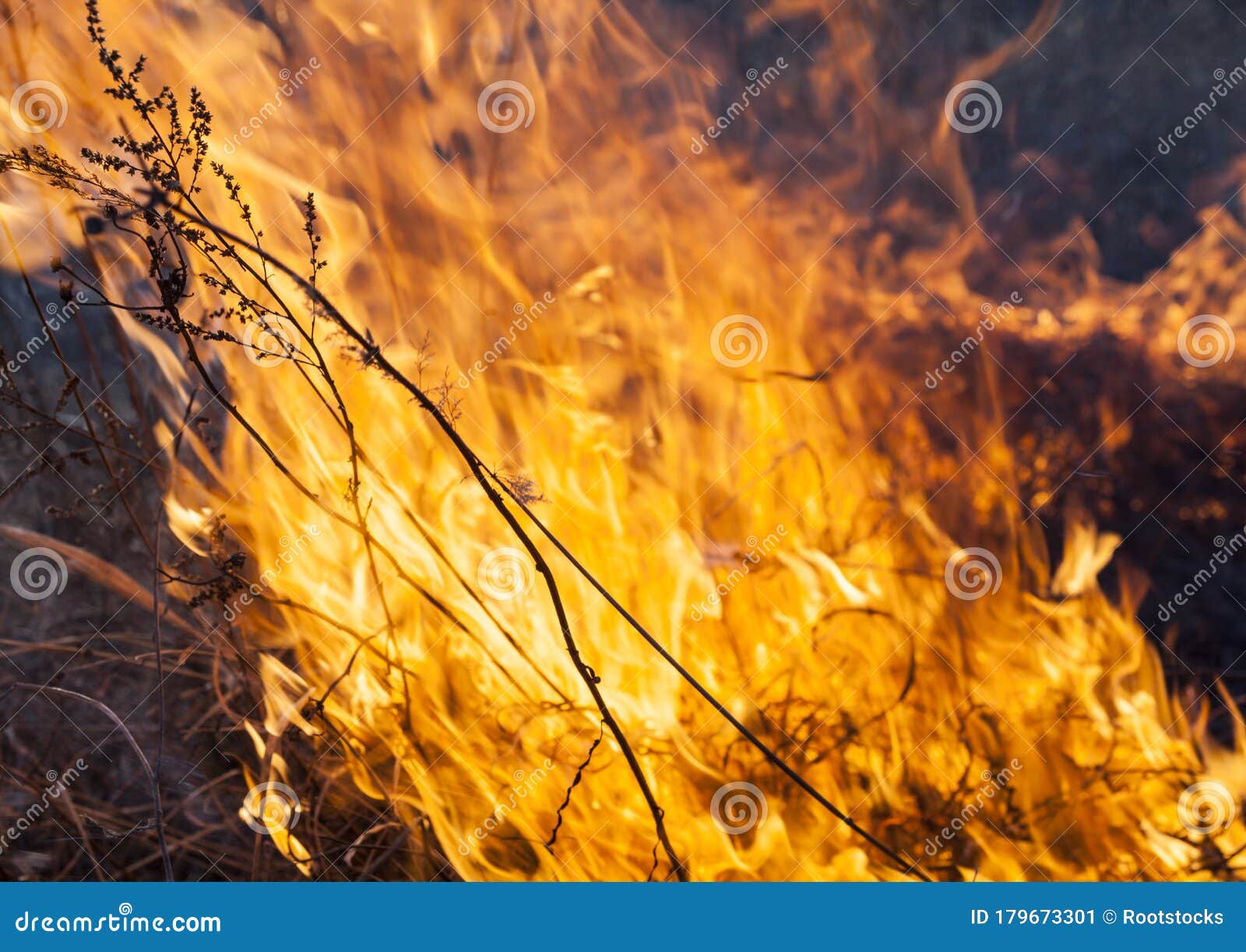 Big fire in the field stock image. Image of field, grassland - 179673301